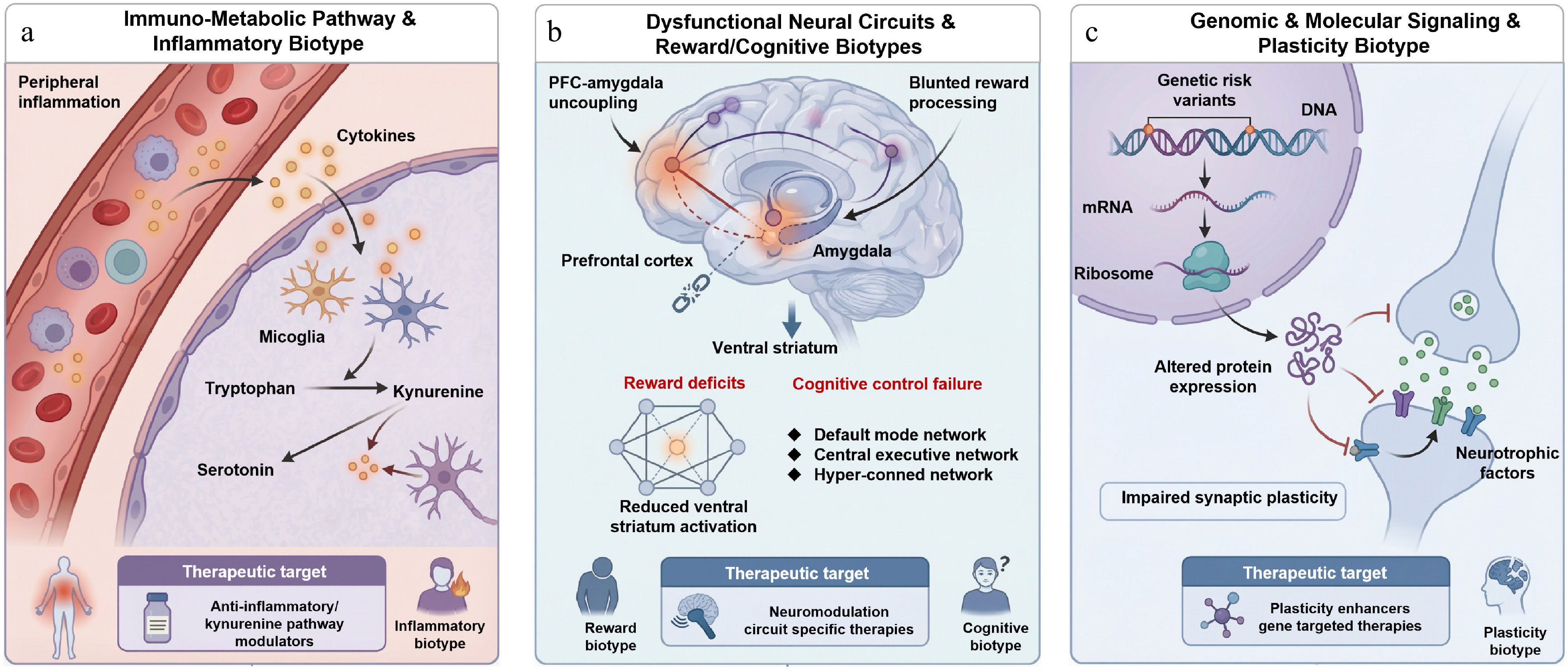 Precision psychiatry in depression via mechanism based stratification ...