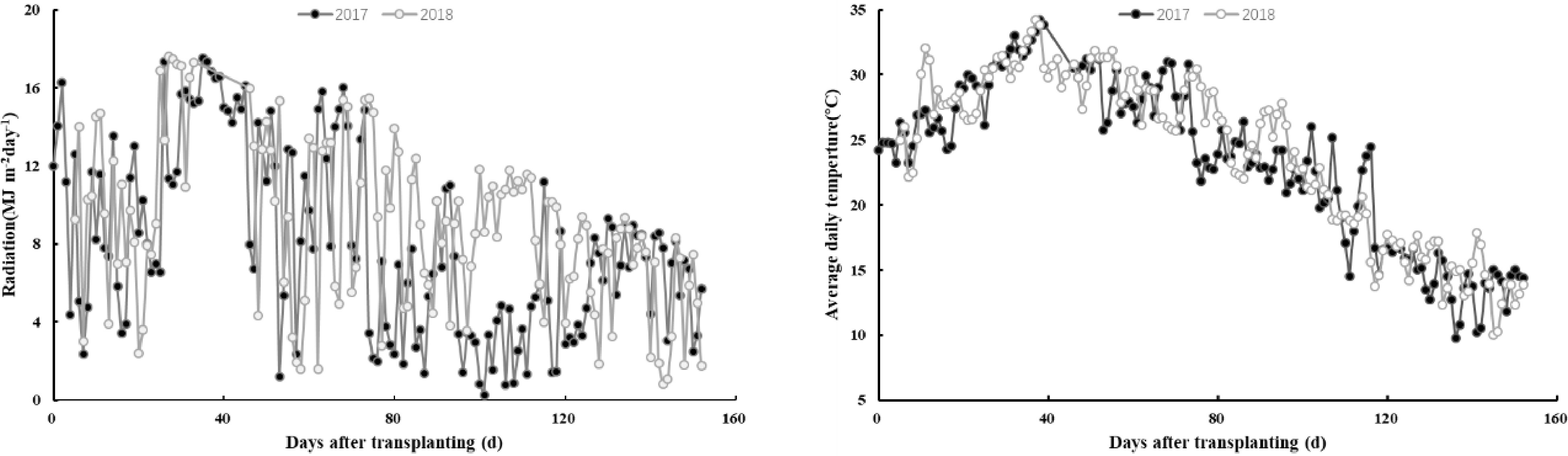 Different developments of rice leaf and their response to nitrogen