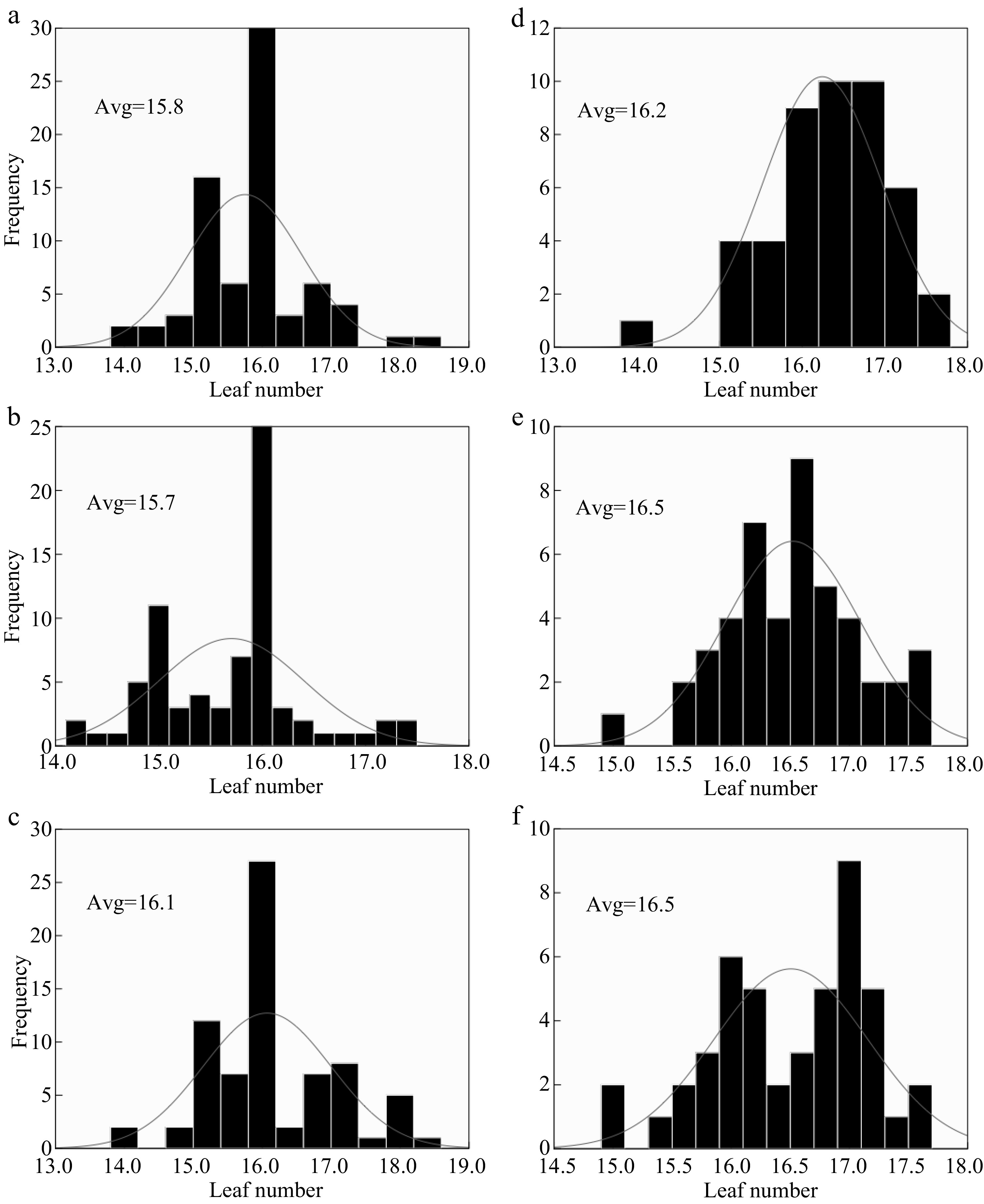 Different developments of rice leaf and their response to nitrogen