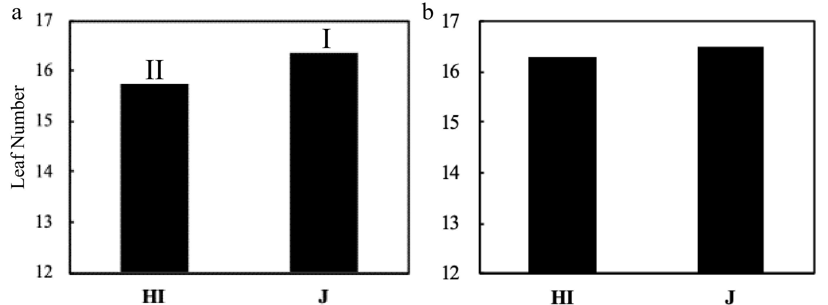 Different developments of rice leaf and their response to nitrogen