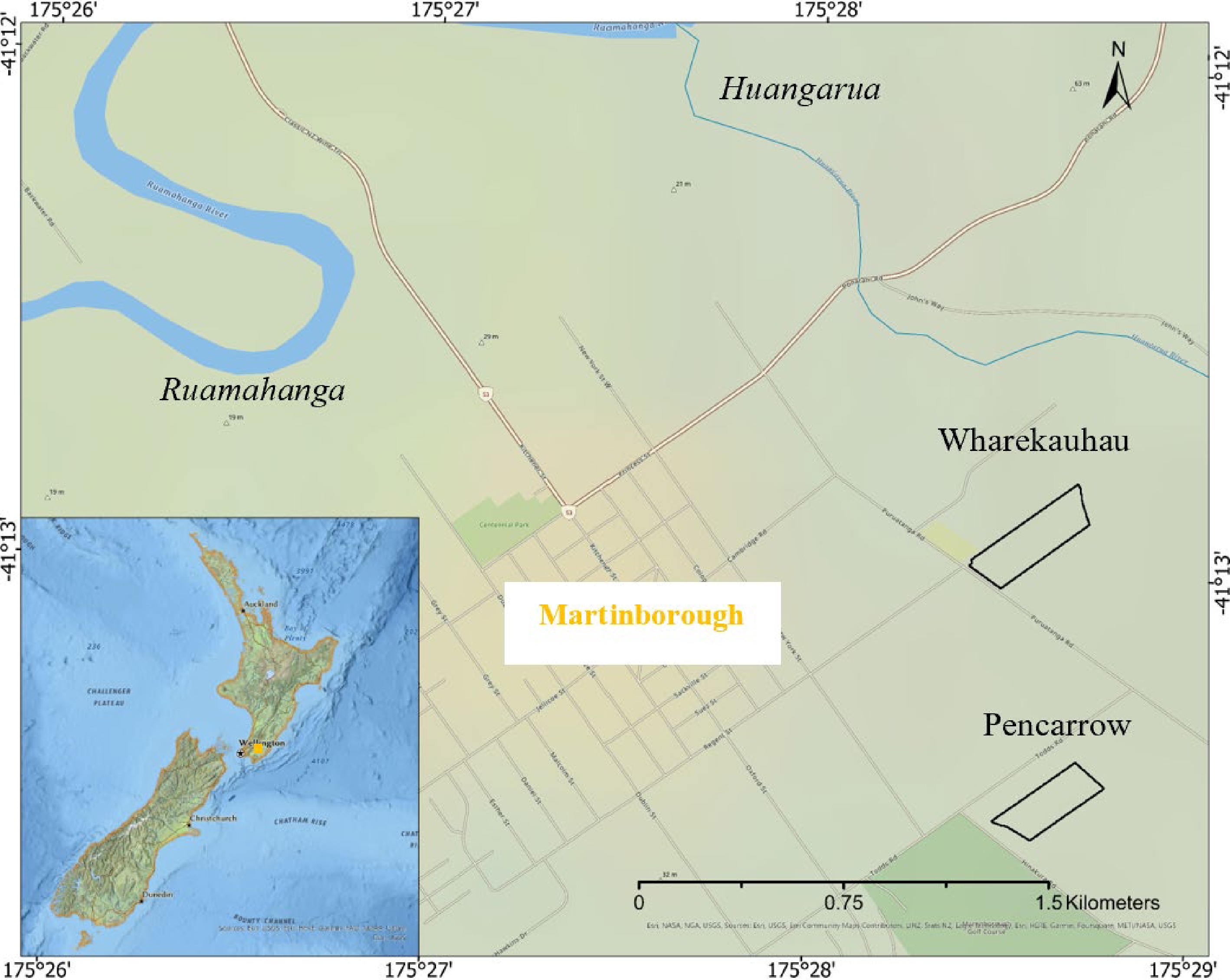 Evaluation of the use of two-stage calibrated PlanetScope images and ...