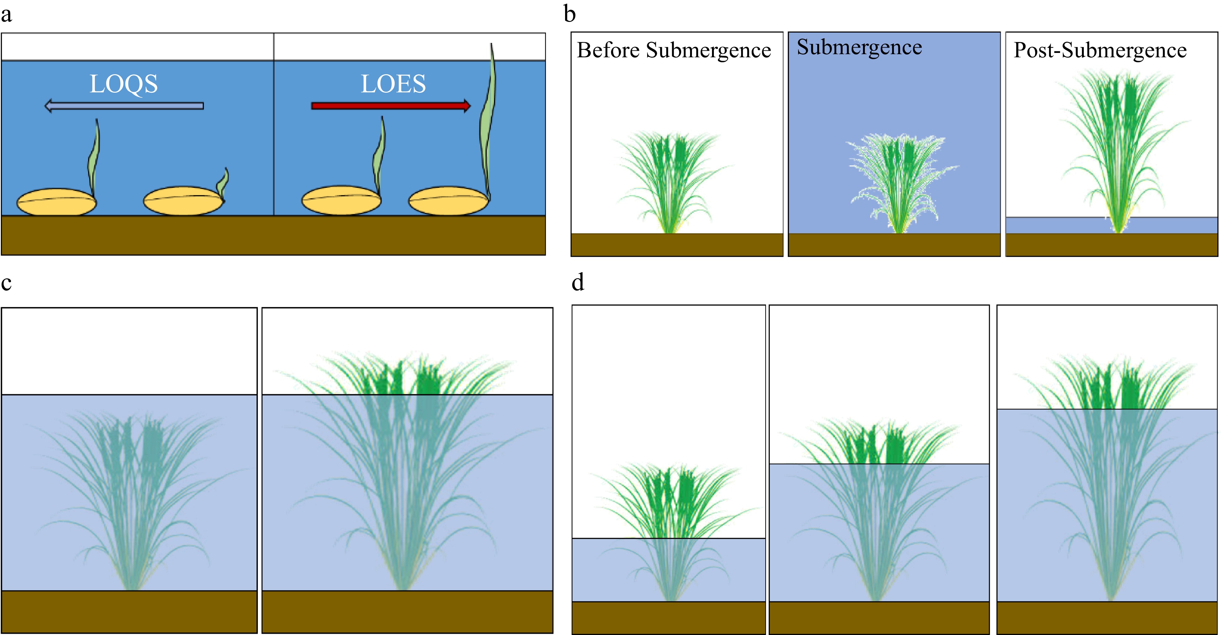 Developing climate-resilient crops adaptation to abiotic stress ...