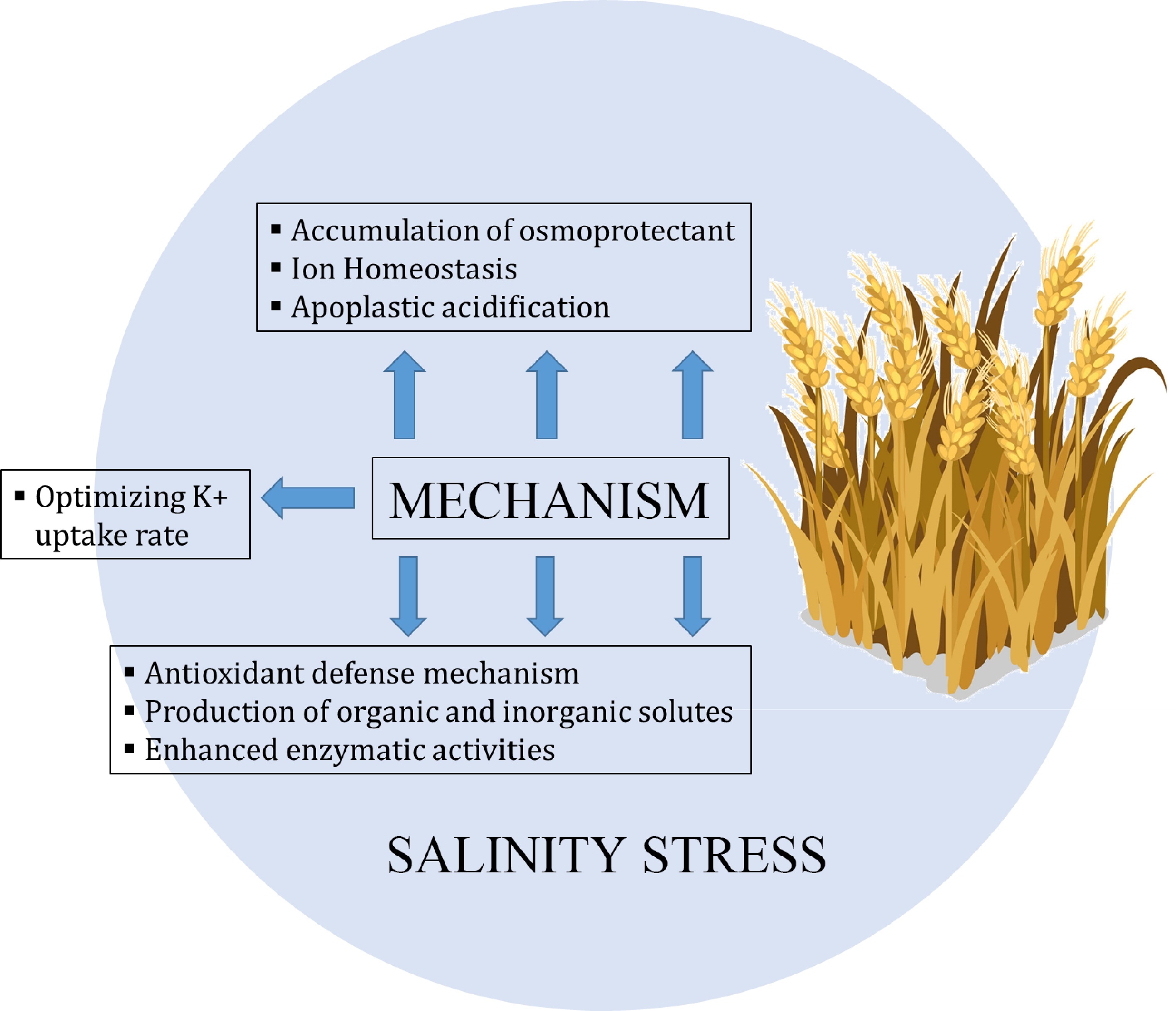 Developing climate-resilient crops adaptation to abiotic stress ...