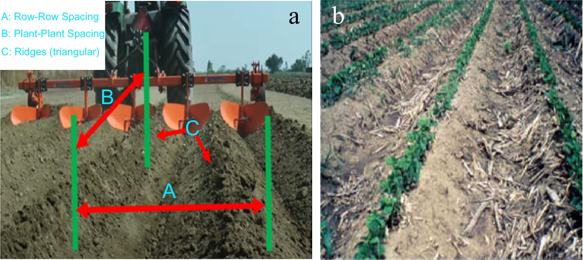 Technological advancements in cotton agronomy a review and prospects