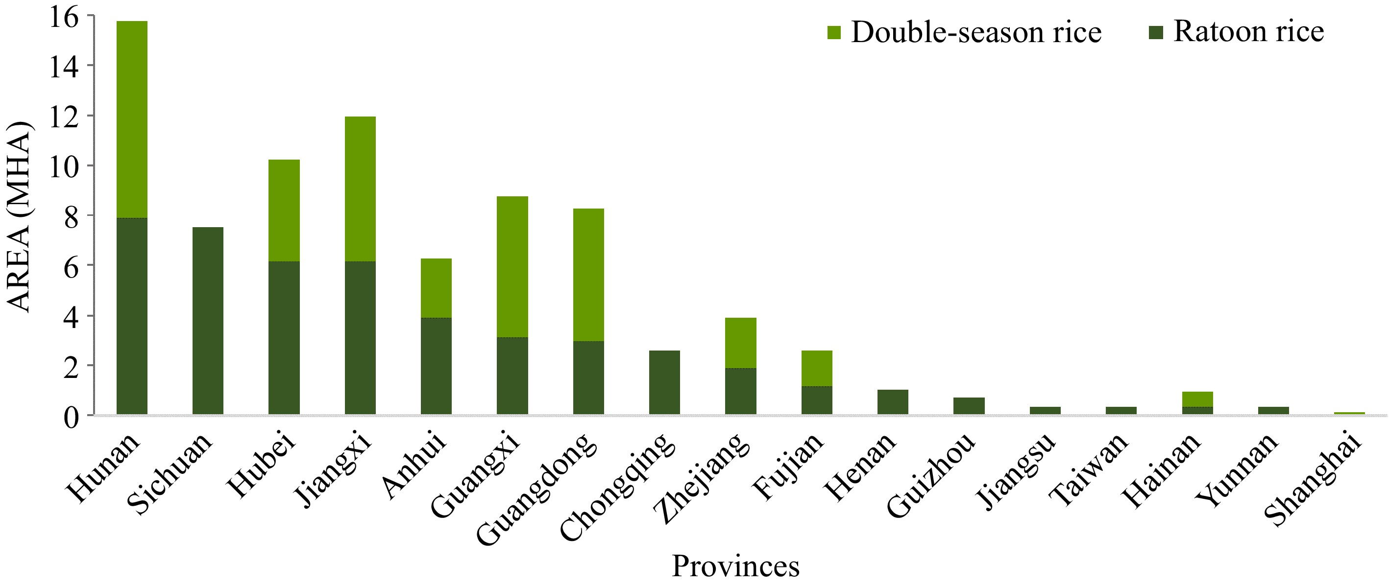 Studies and prospectives of mechanically harvested ratooning rice in China