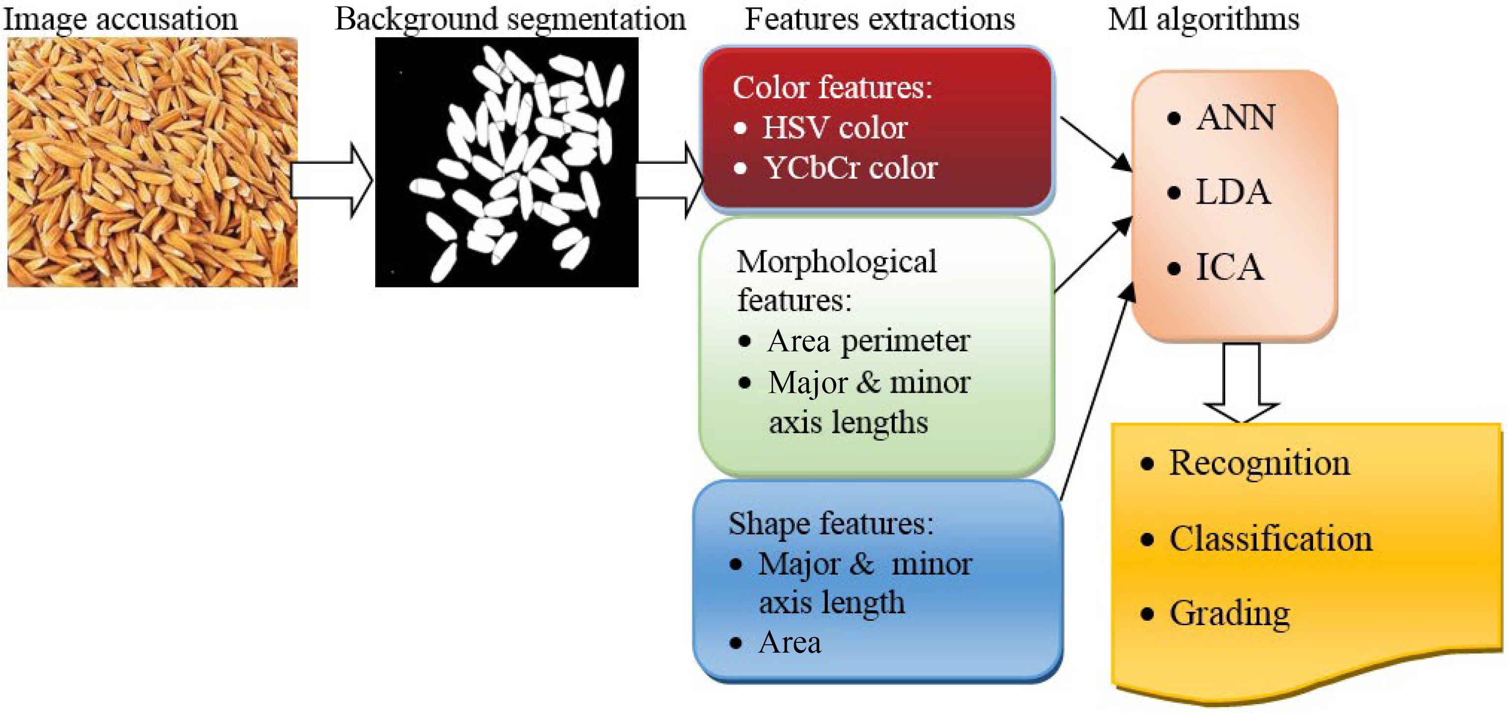 Precision seed certification through machine learning