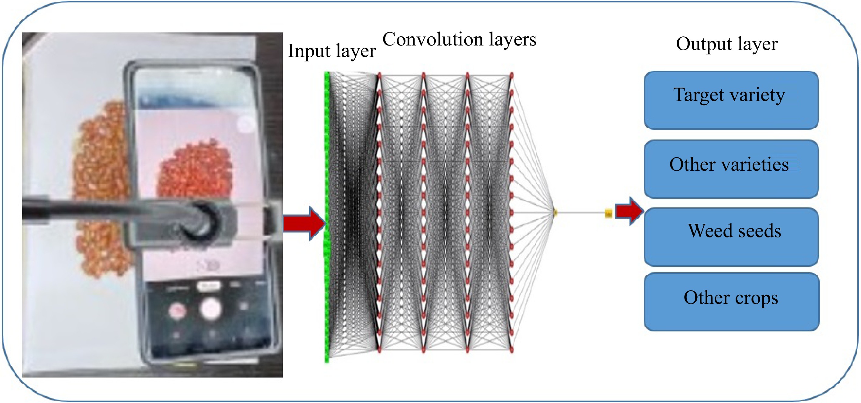 Precision seed certification through machine learning