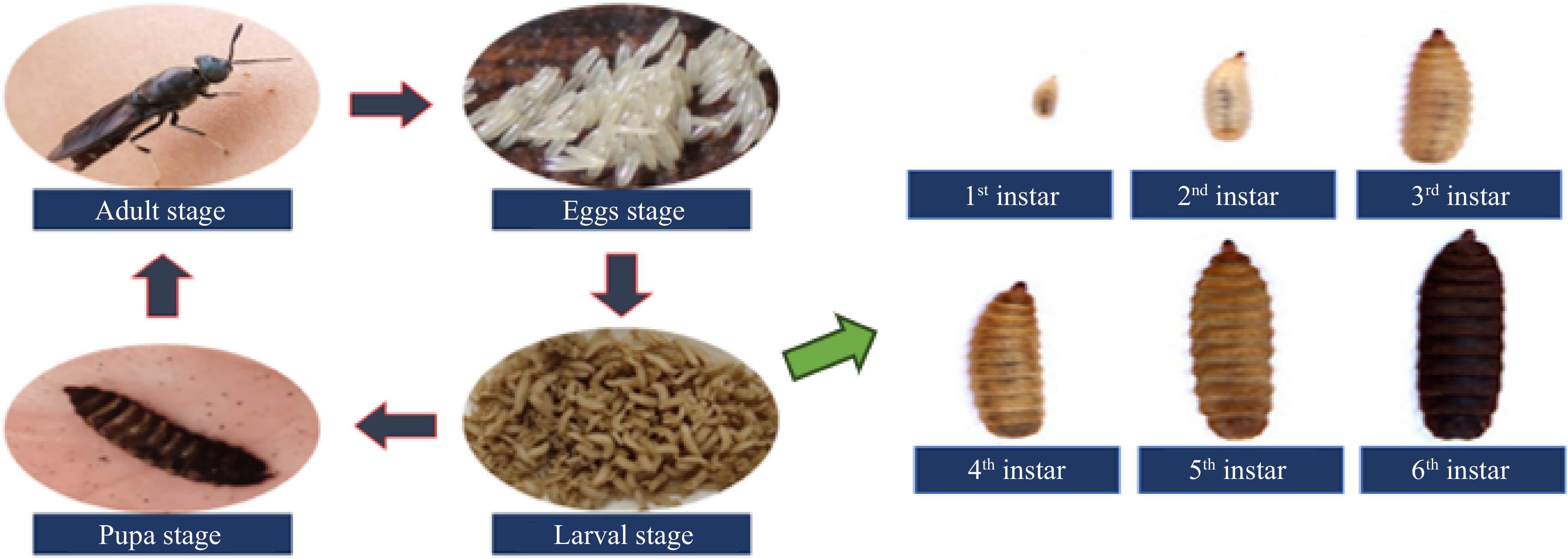 Waste reduction rate, selected agronomic properties, and effect on ...
