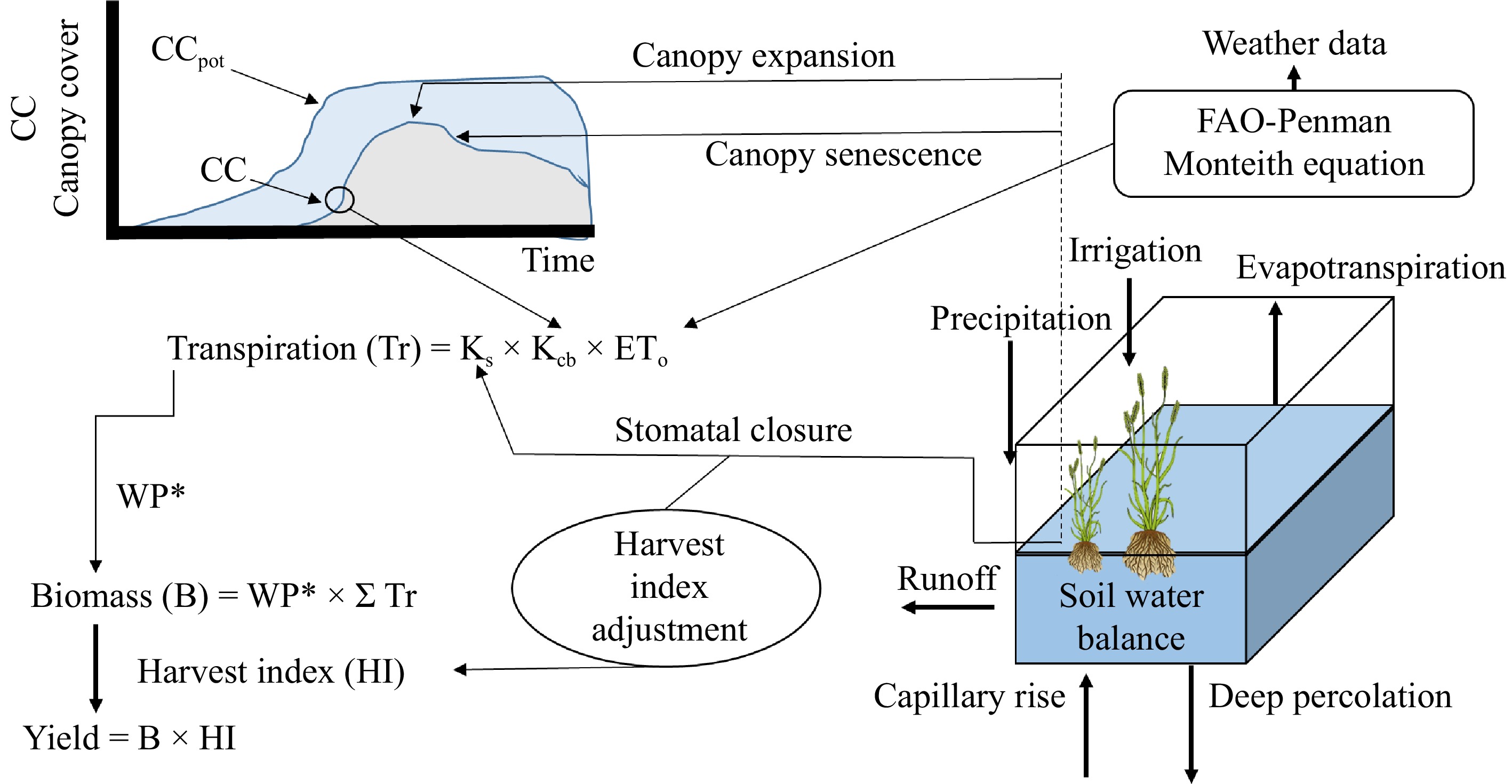 Crop simulation models as decision tools to enhance agricultural system ...