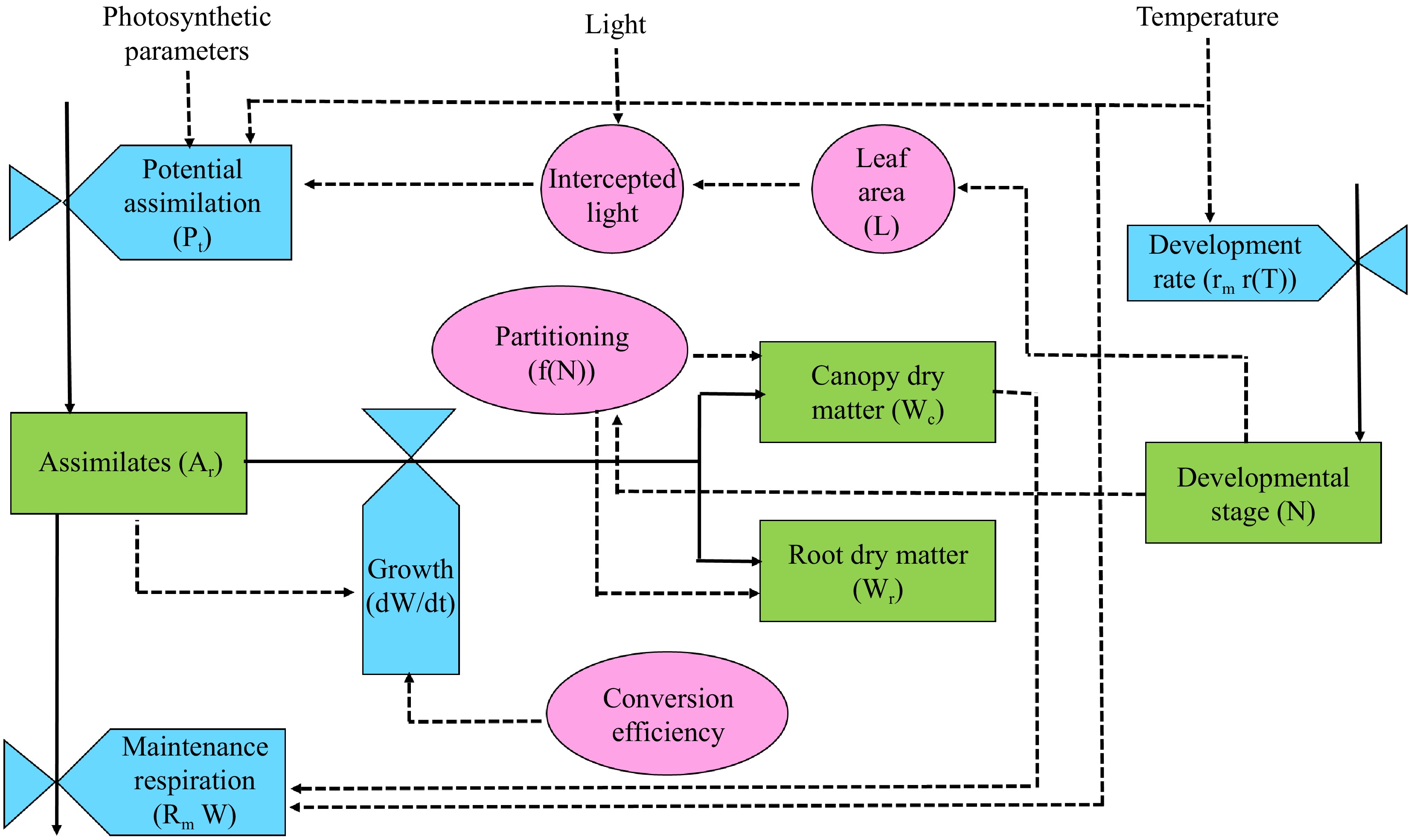 Crop simulation models as decision tools to enhance agricultural system ...
