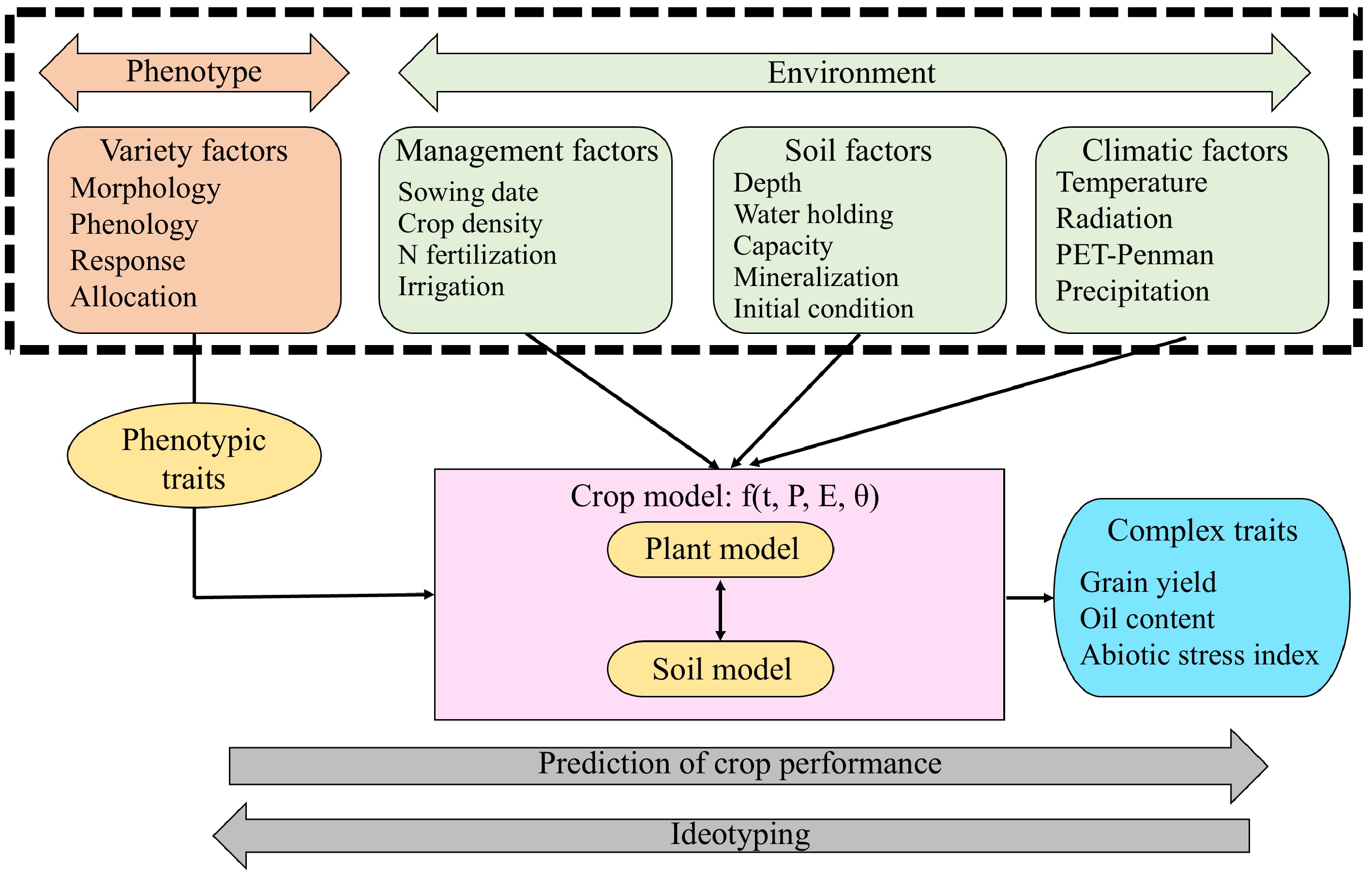 Crop simulation models as decision tools to enhance agricultural system ...