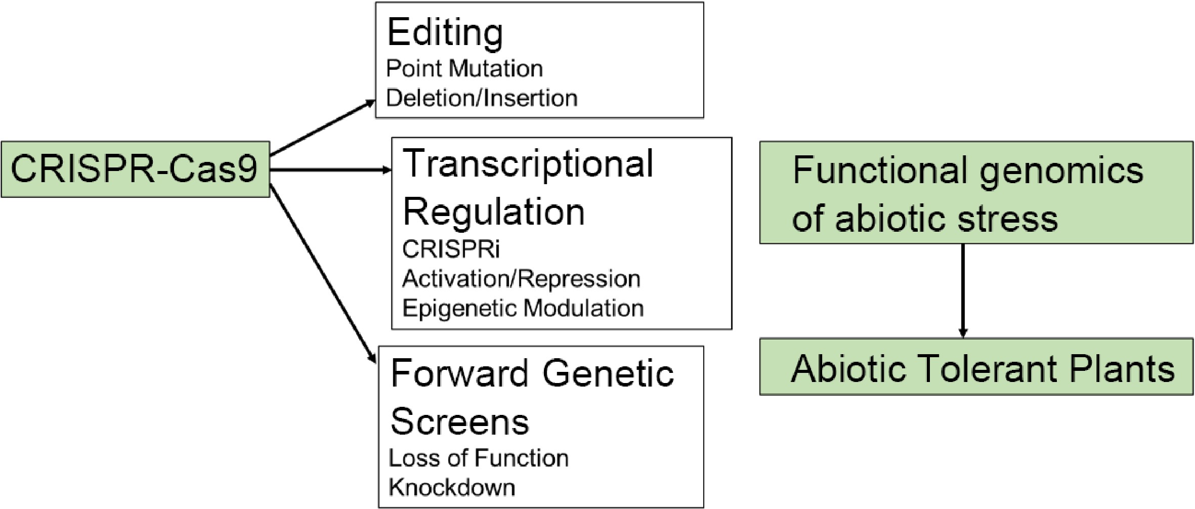 Developing climate-resilient crops adaptation to abiotic stress ...