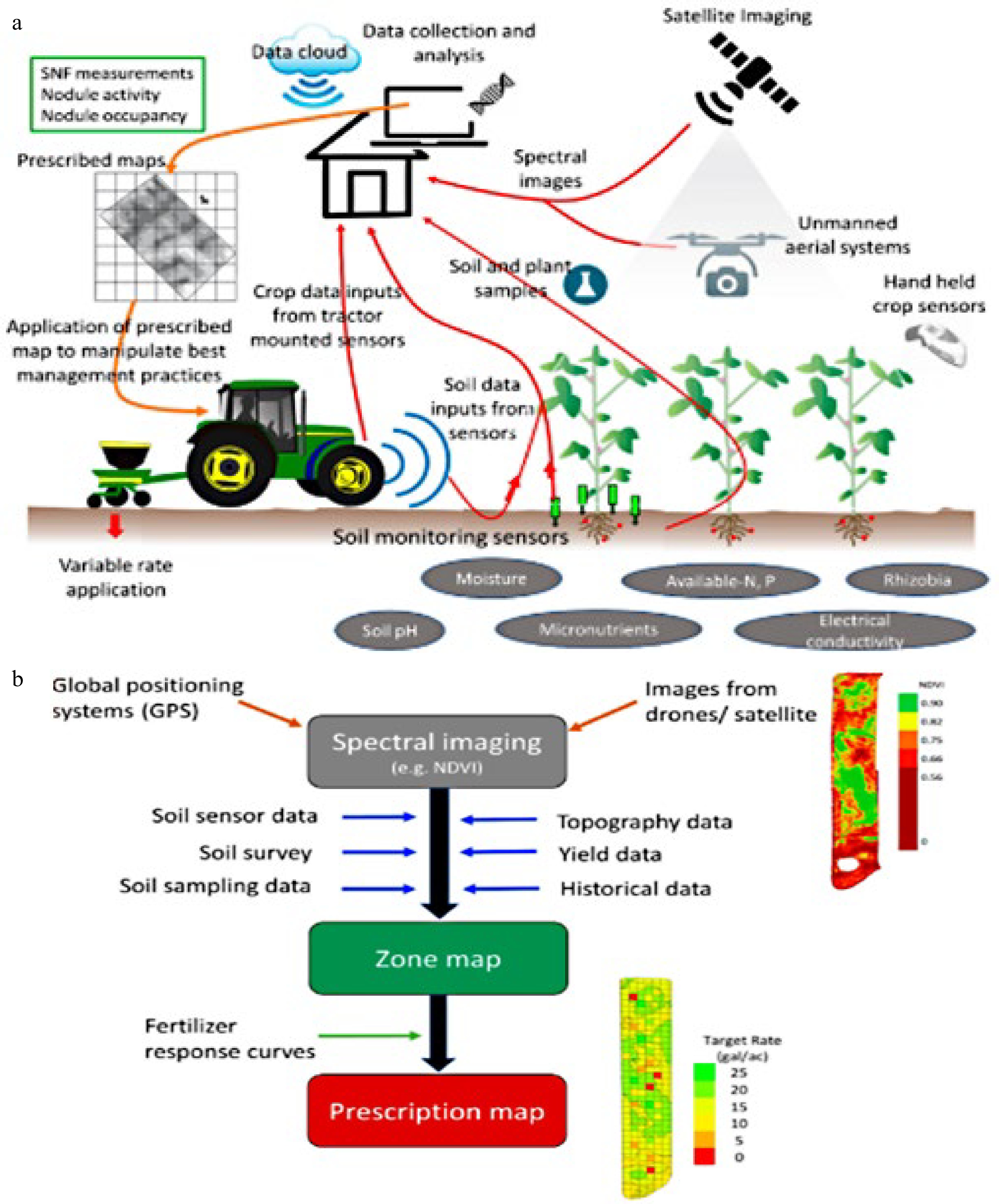 Technological advancements in cotton agronomy: a review and prospects