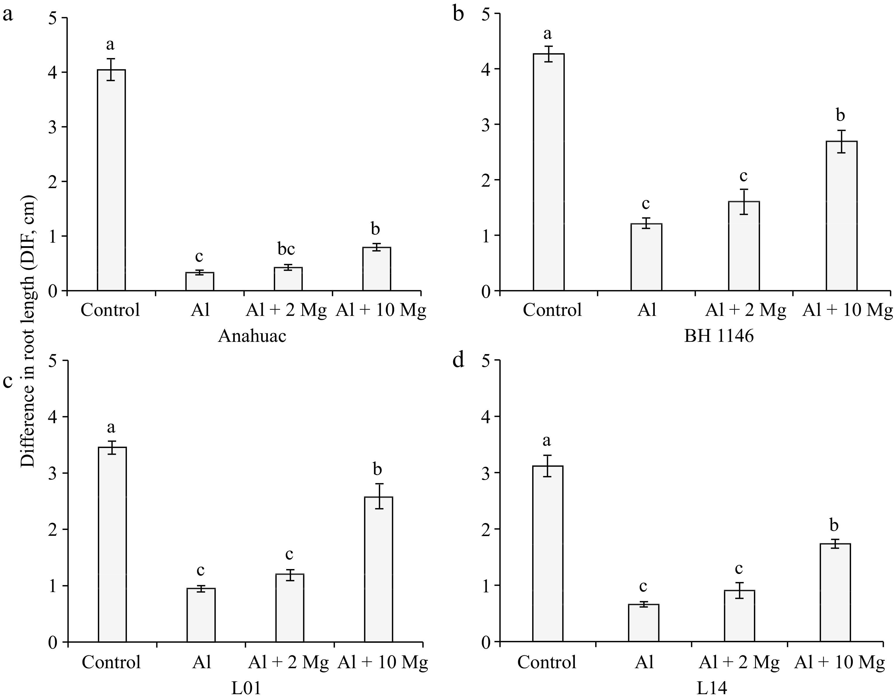Magnesium alleviates aluminum toxicity in wheat and maize seedlings