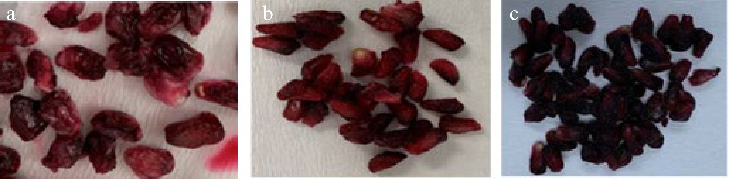 Review of the effects of various pretreatment and drying techniques on ...