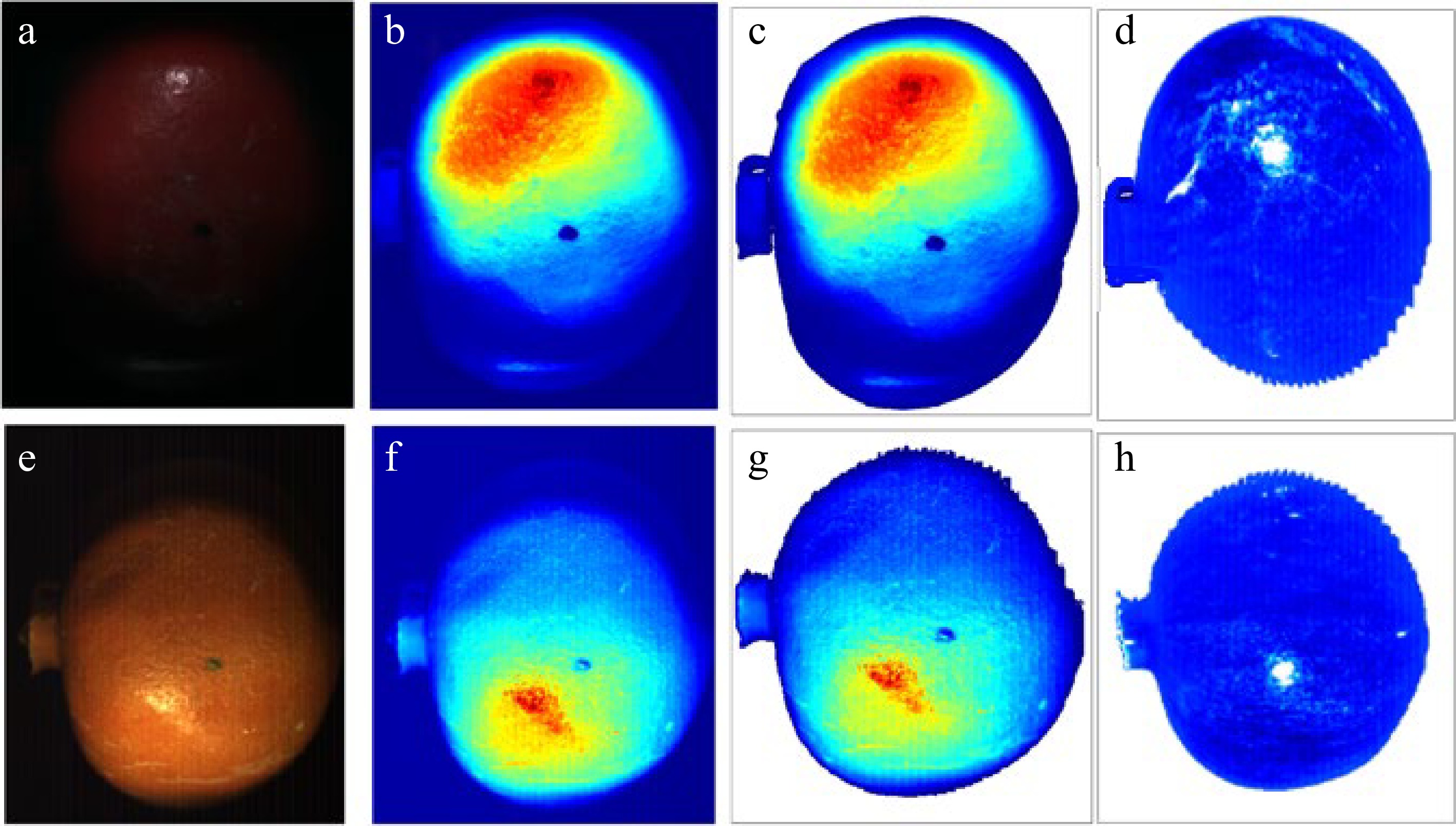 Early bruise detection on pomegranate ( Punica granatum L.), using ...