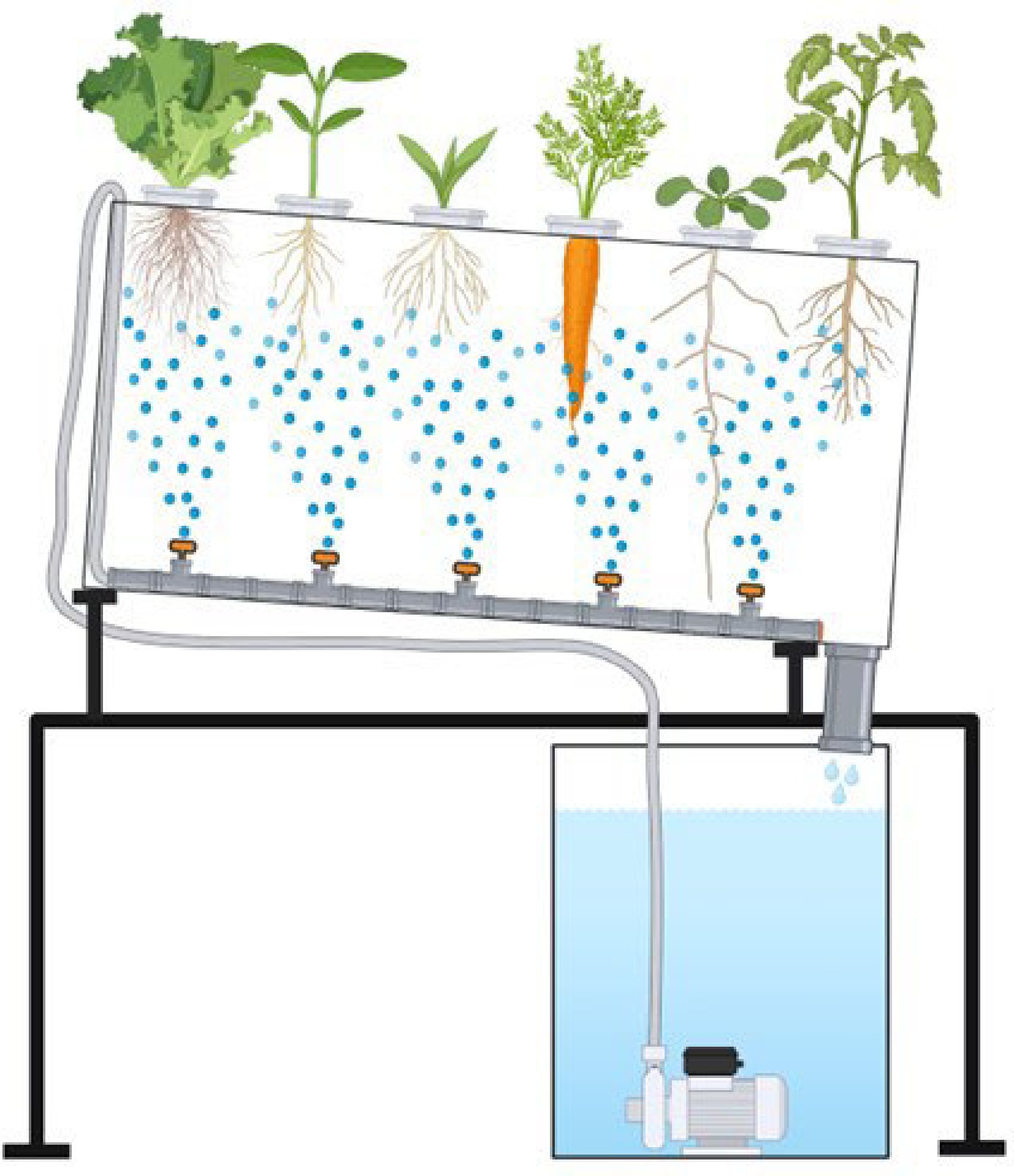 Comparing resource use efficiencies in hydroponic and aeroponic ...