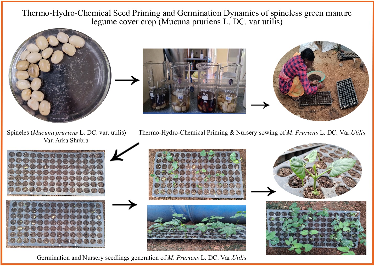 Augmenting thermo-hydro-chemical seed priming and germination dynamics ...