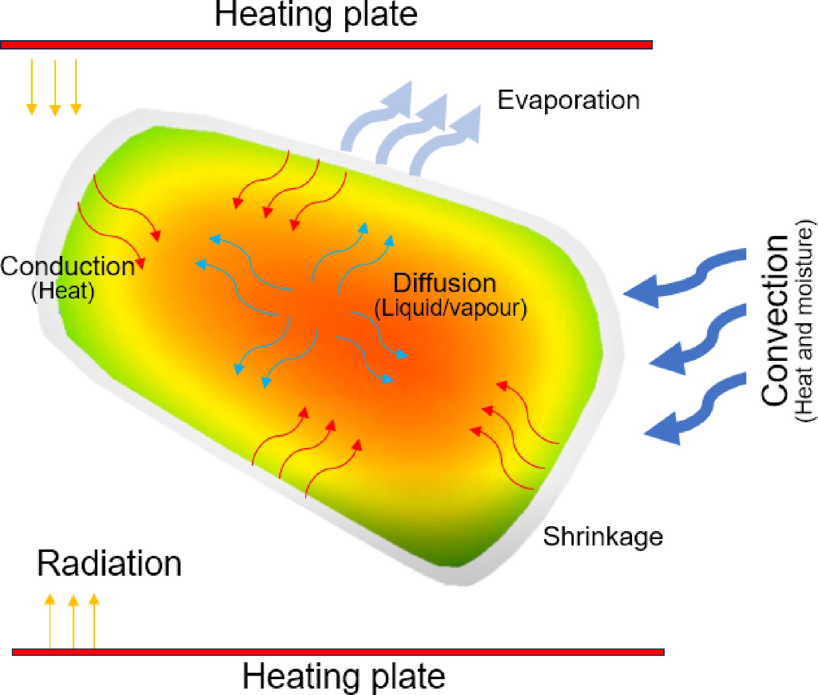 Review of the effects of various pretreatment and drying techniques on ...