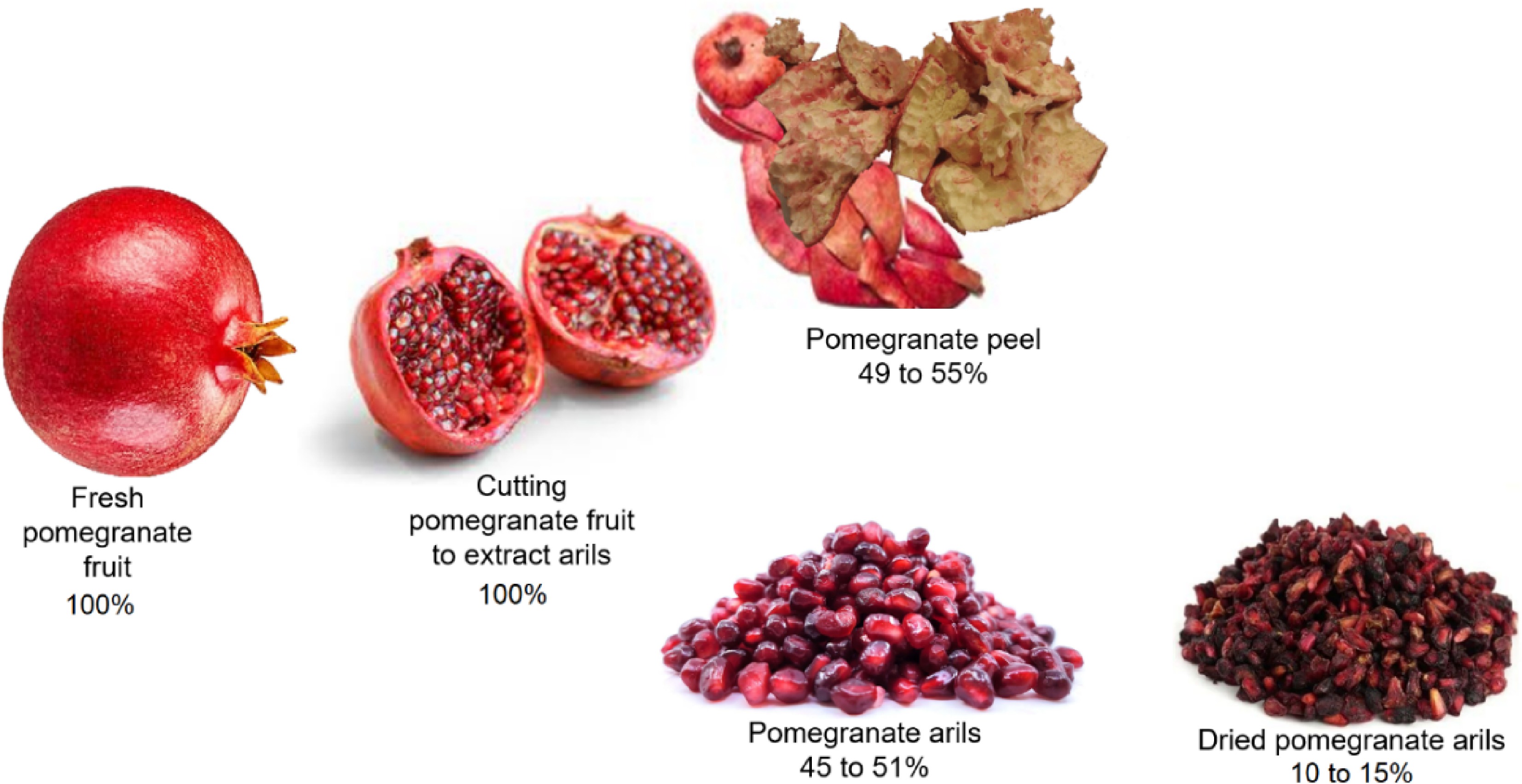 Review of the effects of various pretreatment and drying techniques on ...