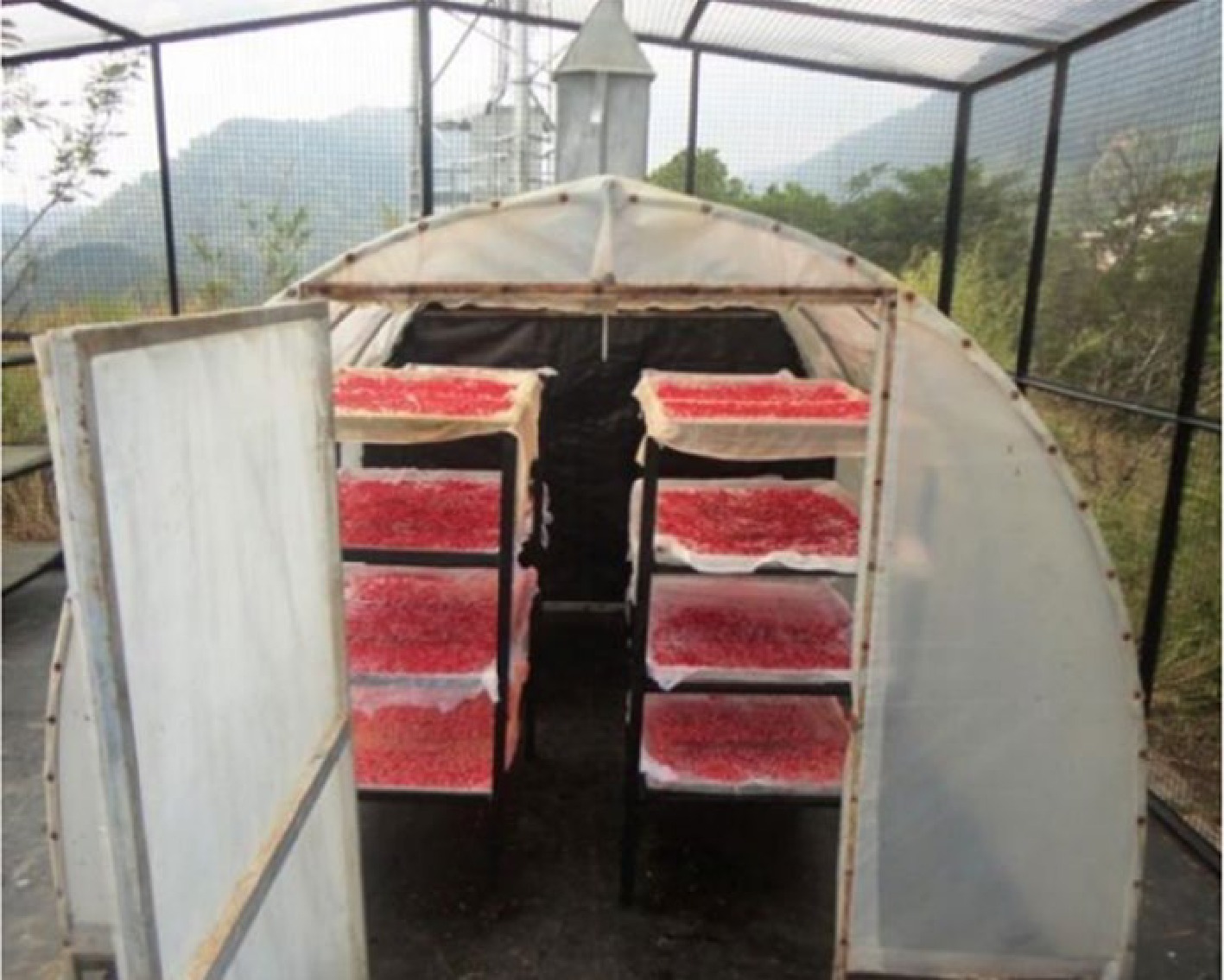 Review of the effects of various pretreatment and drying techniques on ...