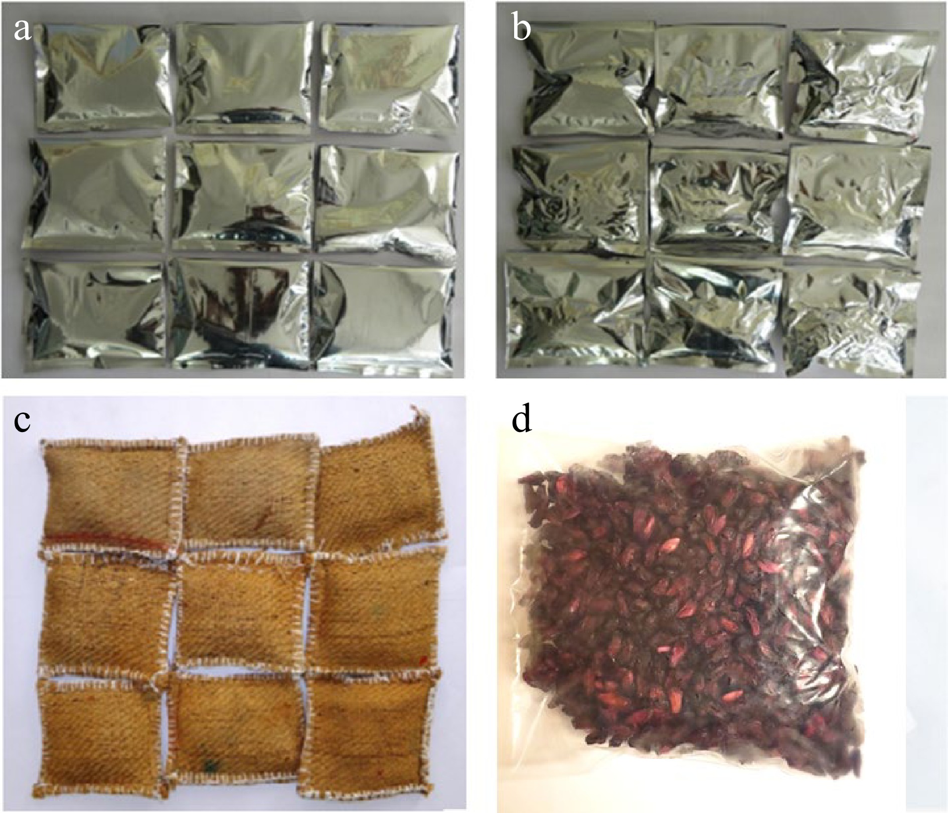 Review of the effects of various pretreatment and drying techniques on ...