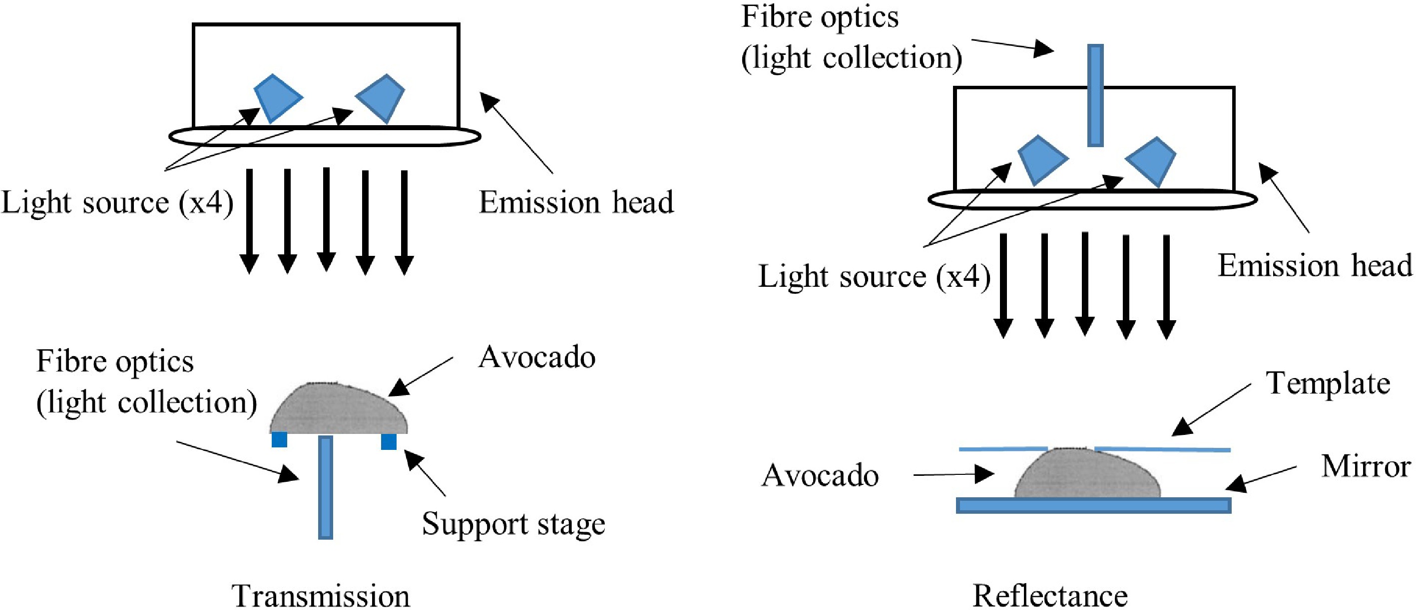Wavelength variation of the depth of penetration of Near Infrared ...