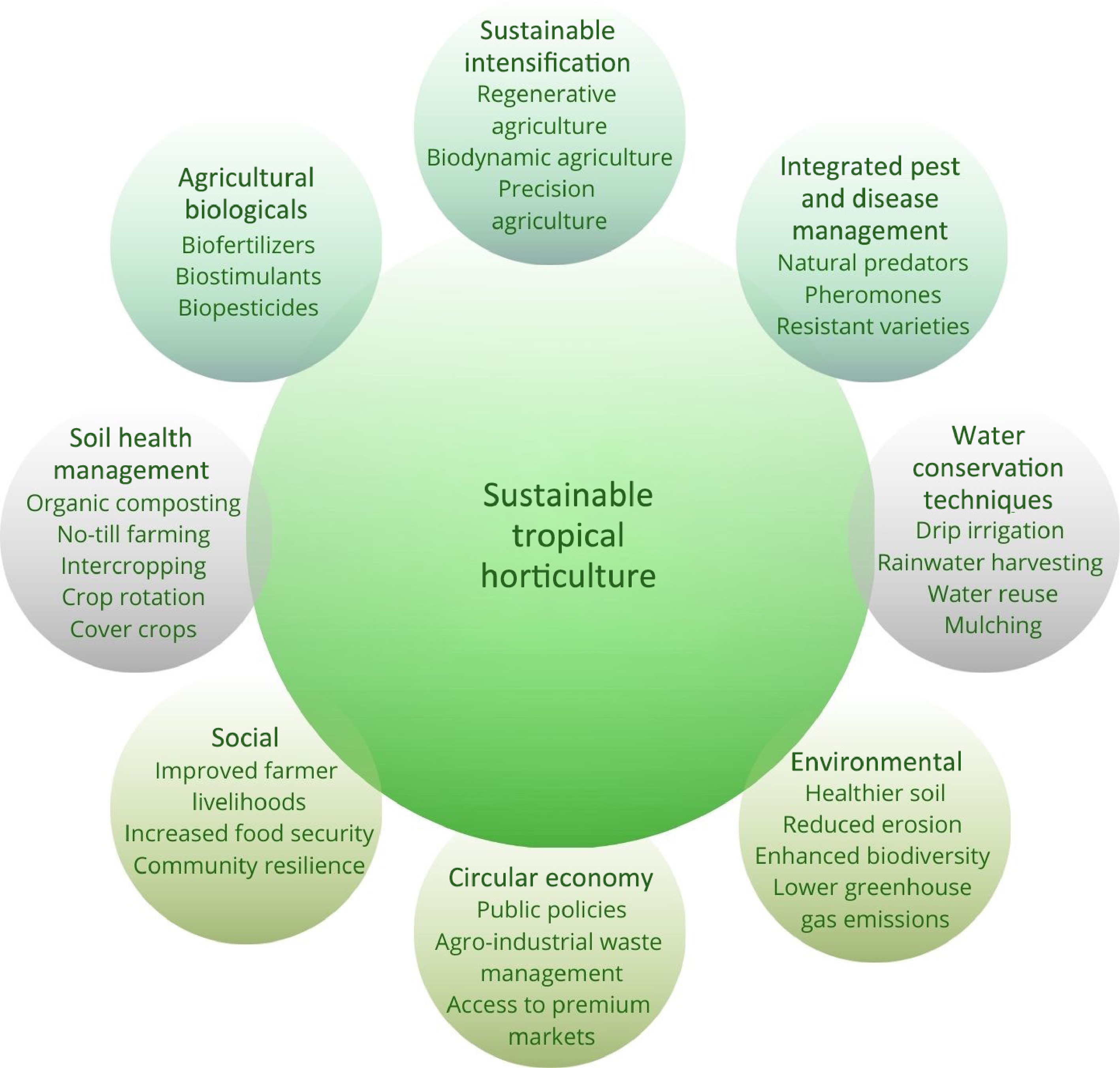 Sustainable practices in tropical horticulture: a path to resilient ...