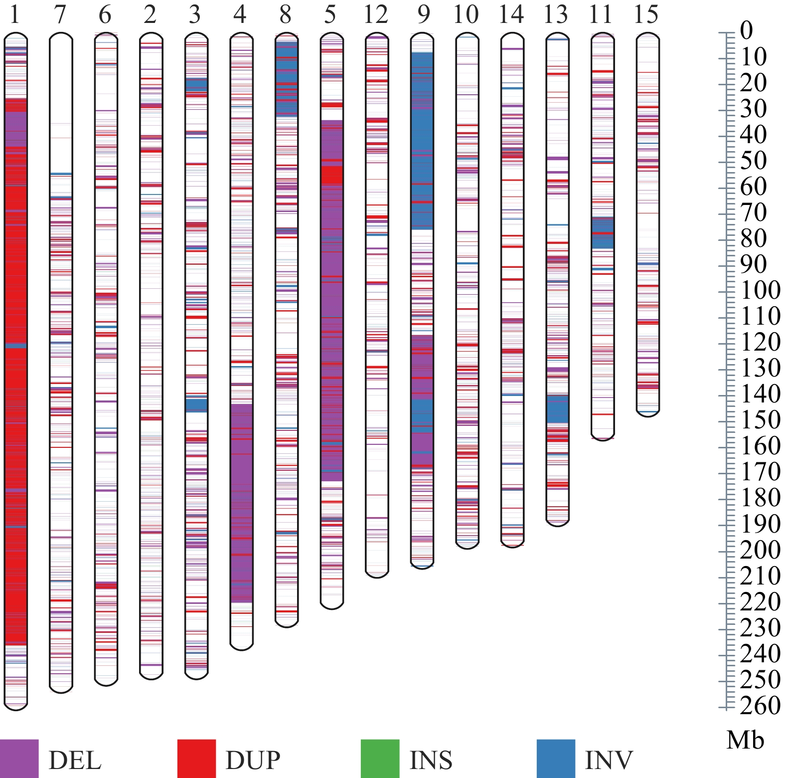 Evolutionary genomics of structural variation in the tea plant ...