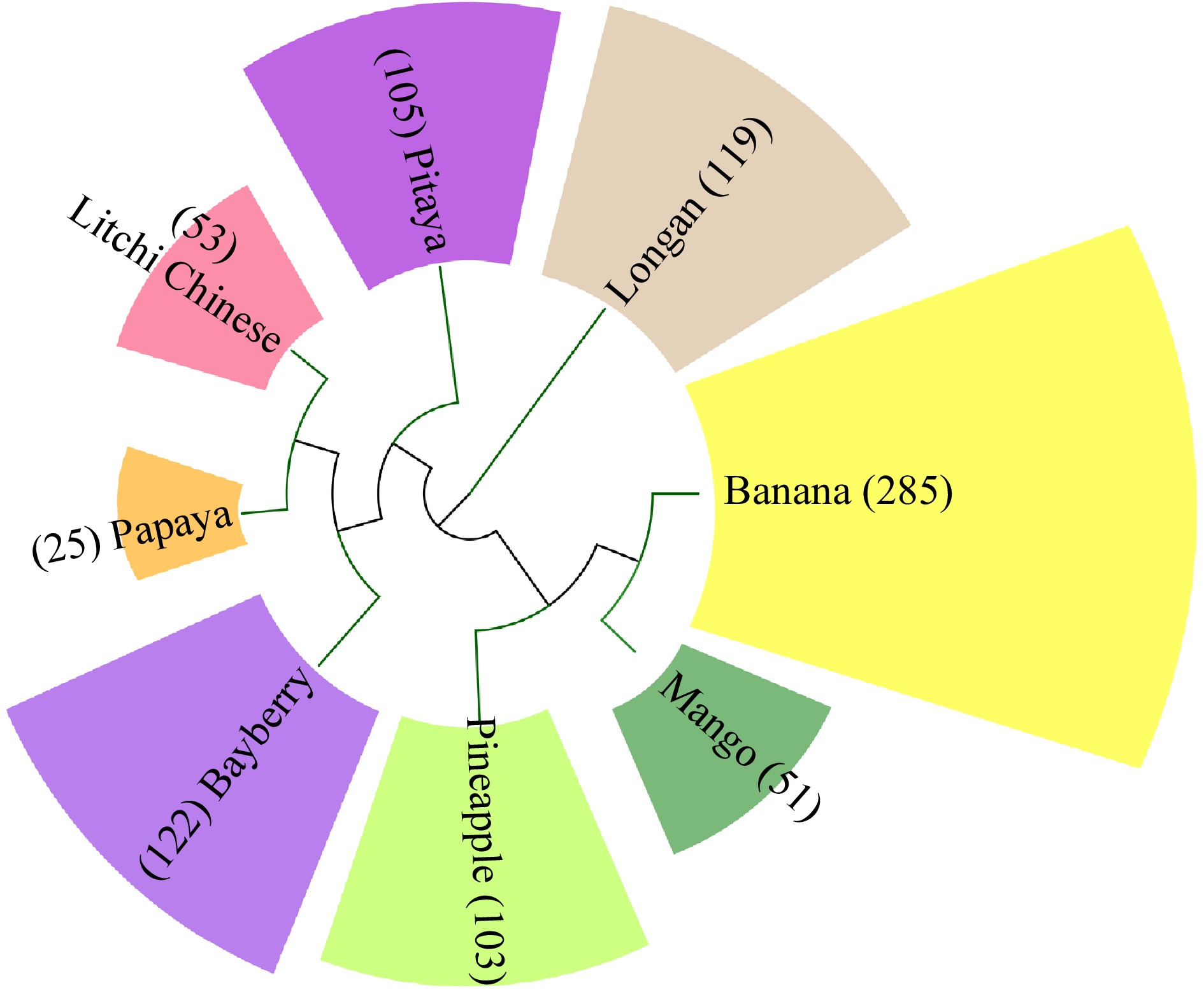 Research progress on the MYB transcription factors in tropical fruit