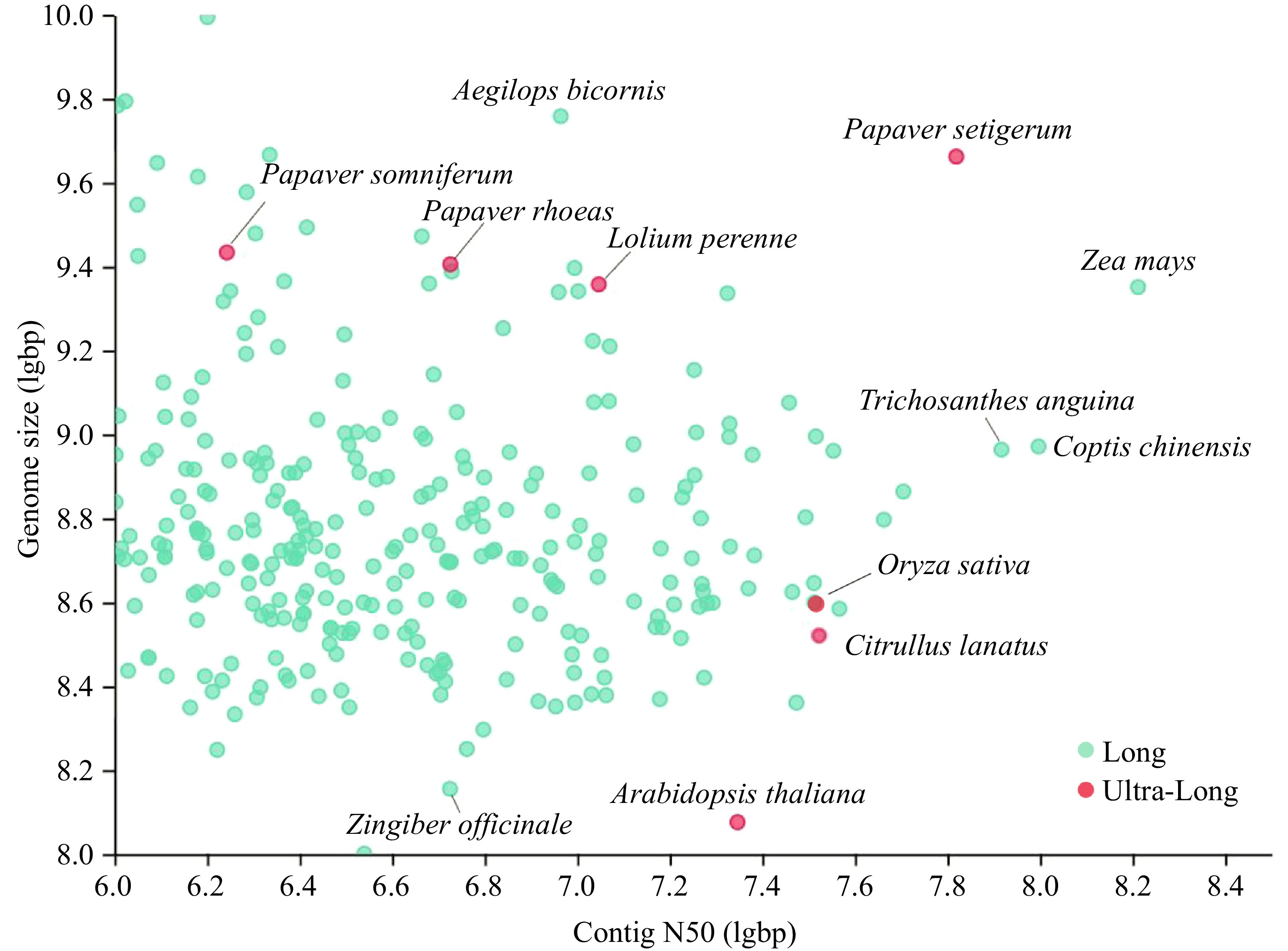 De novo assembly of plant complete genomes