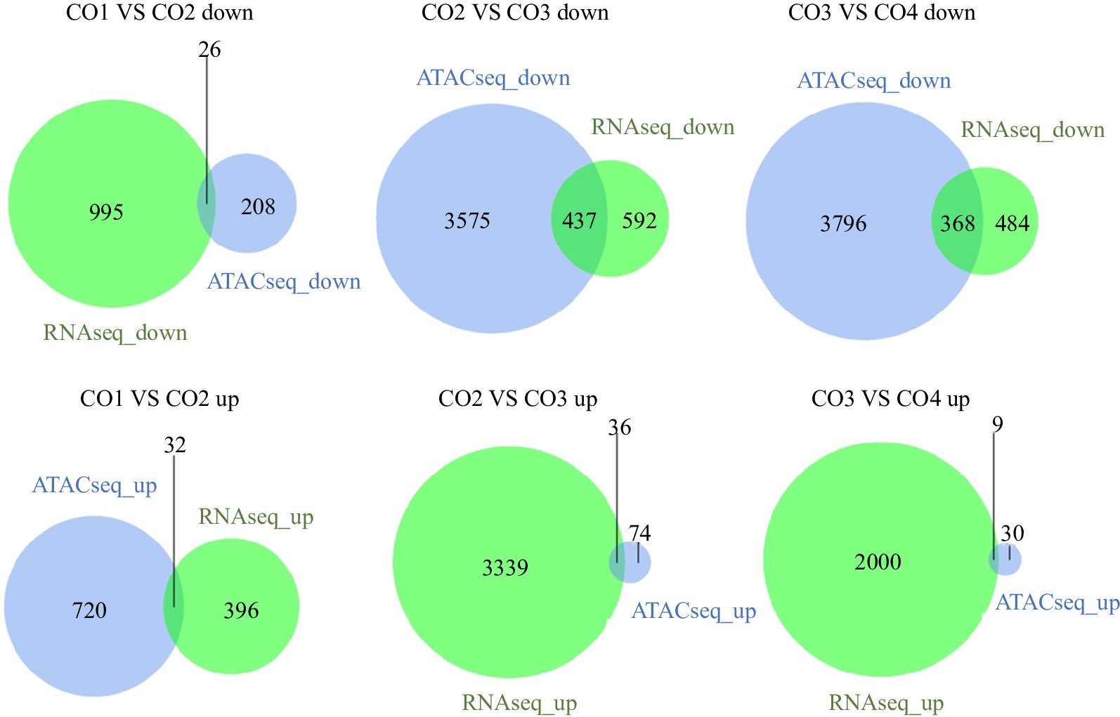 Identification and functional analysis of transcription factors related ...