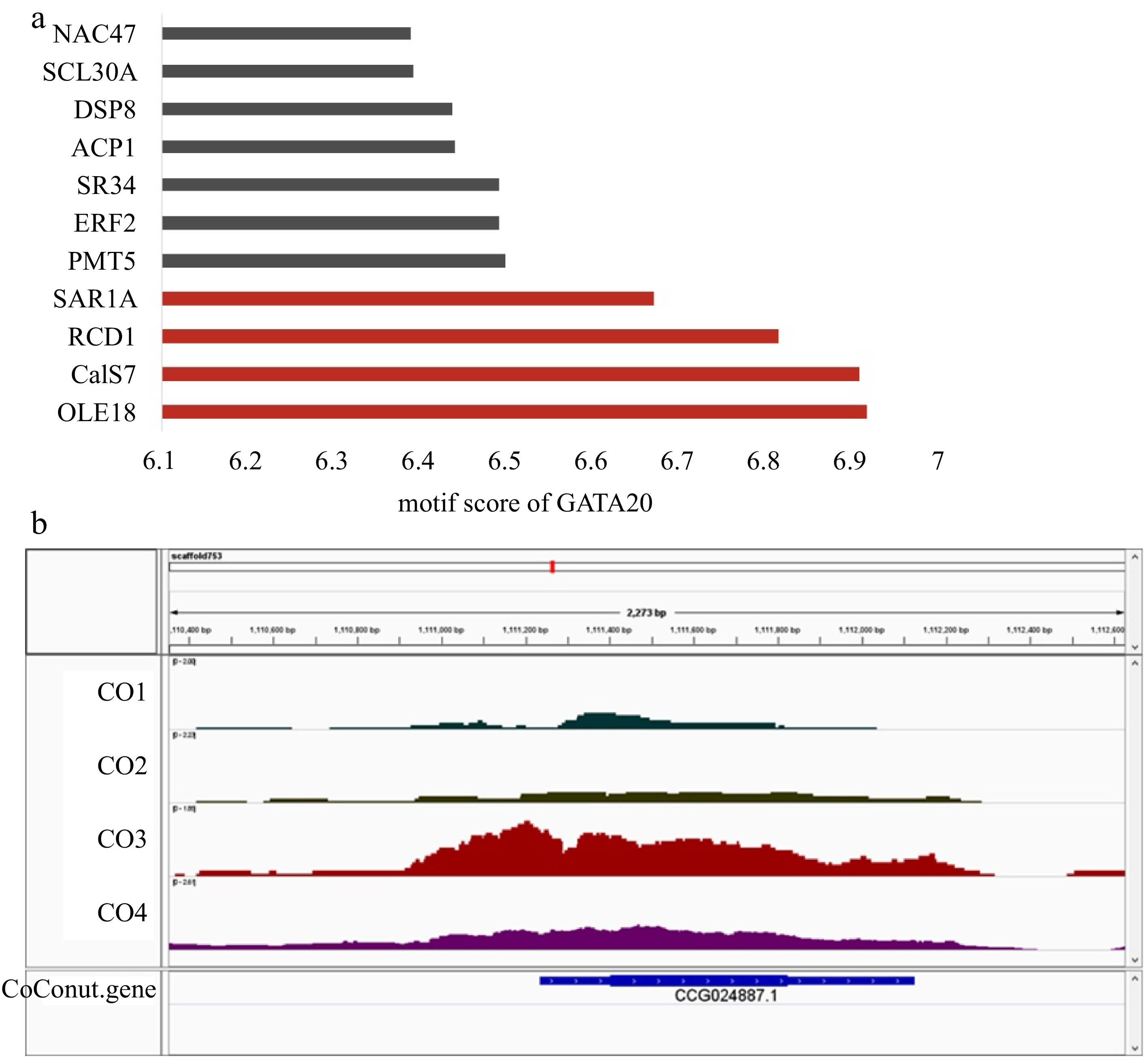 Identification and functional analysis of transcription factors related ...
