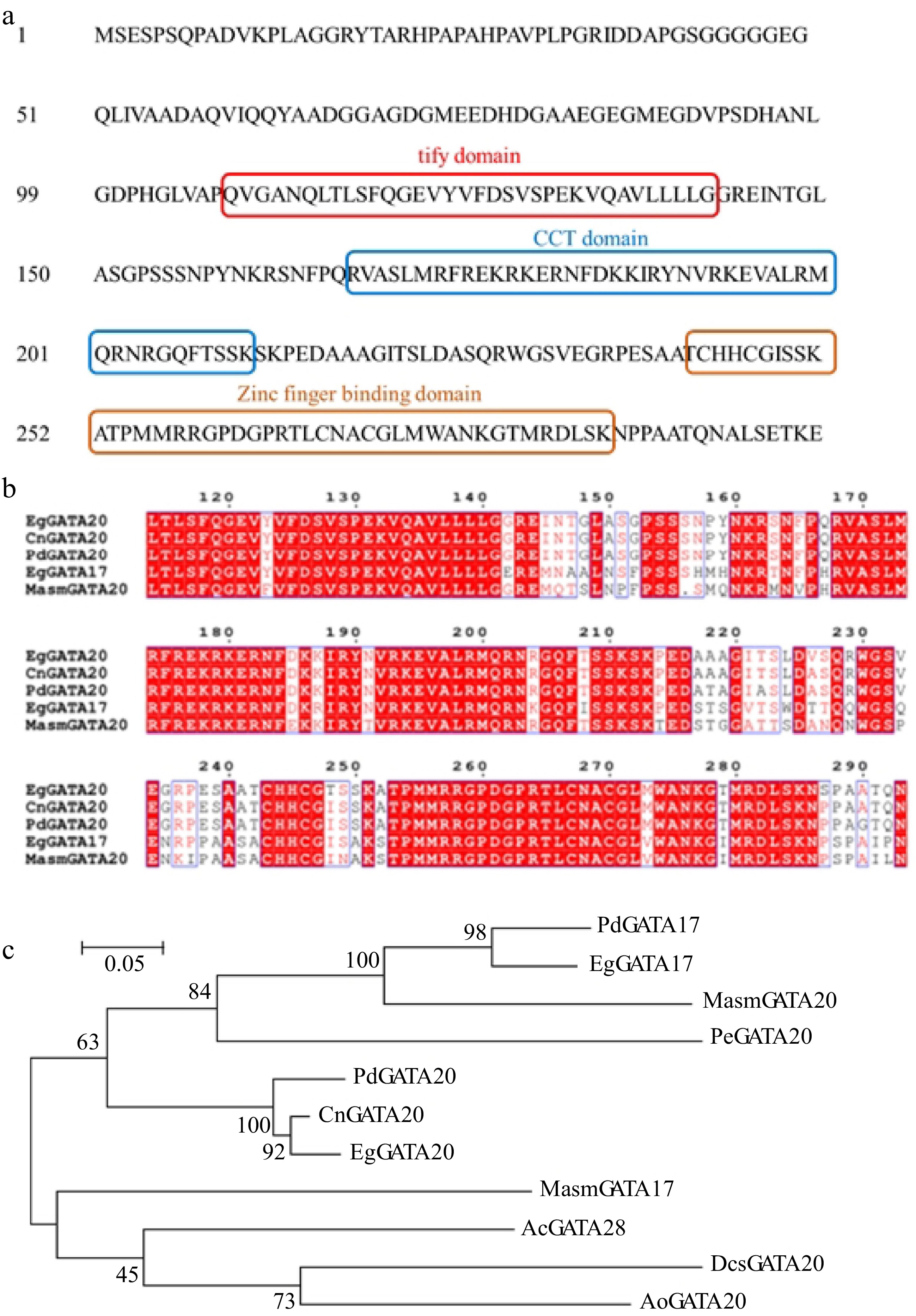 Identification and functional analysis of transcription factors related ...