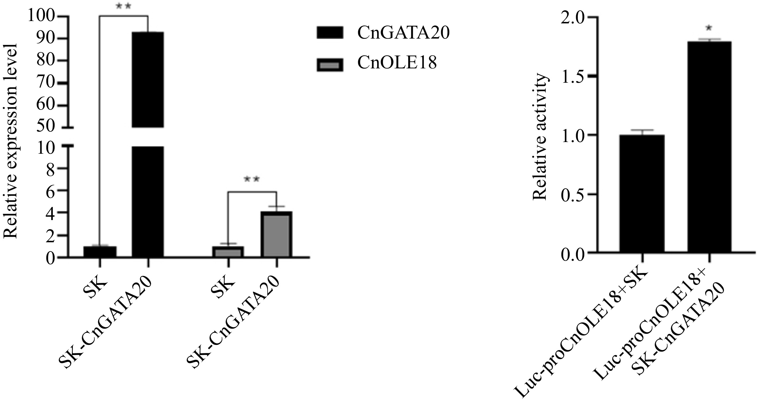 Identification and functional analysis of transcription factors related ...