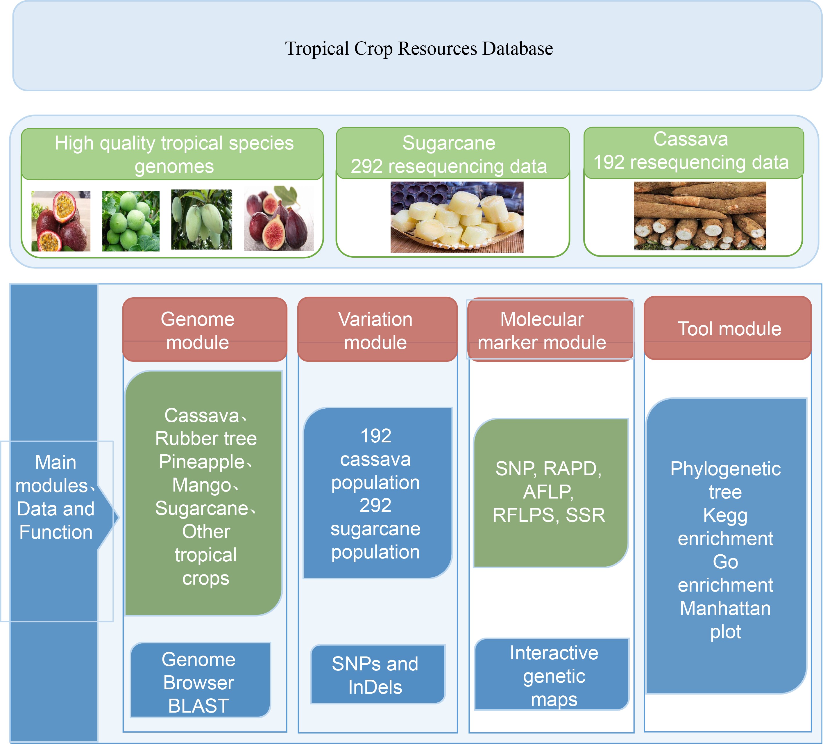 TropCRD (Tropical Crop Resources Database) the multi-tropical crop ...