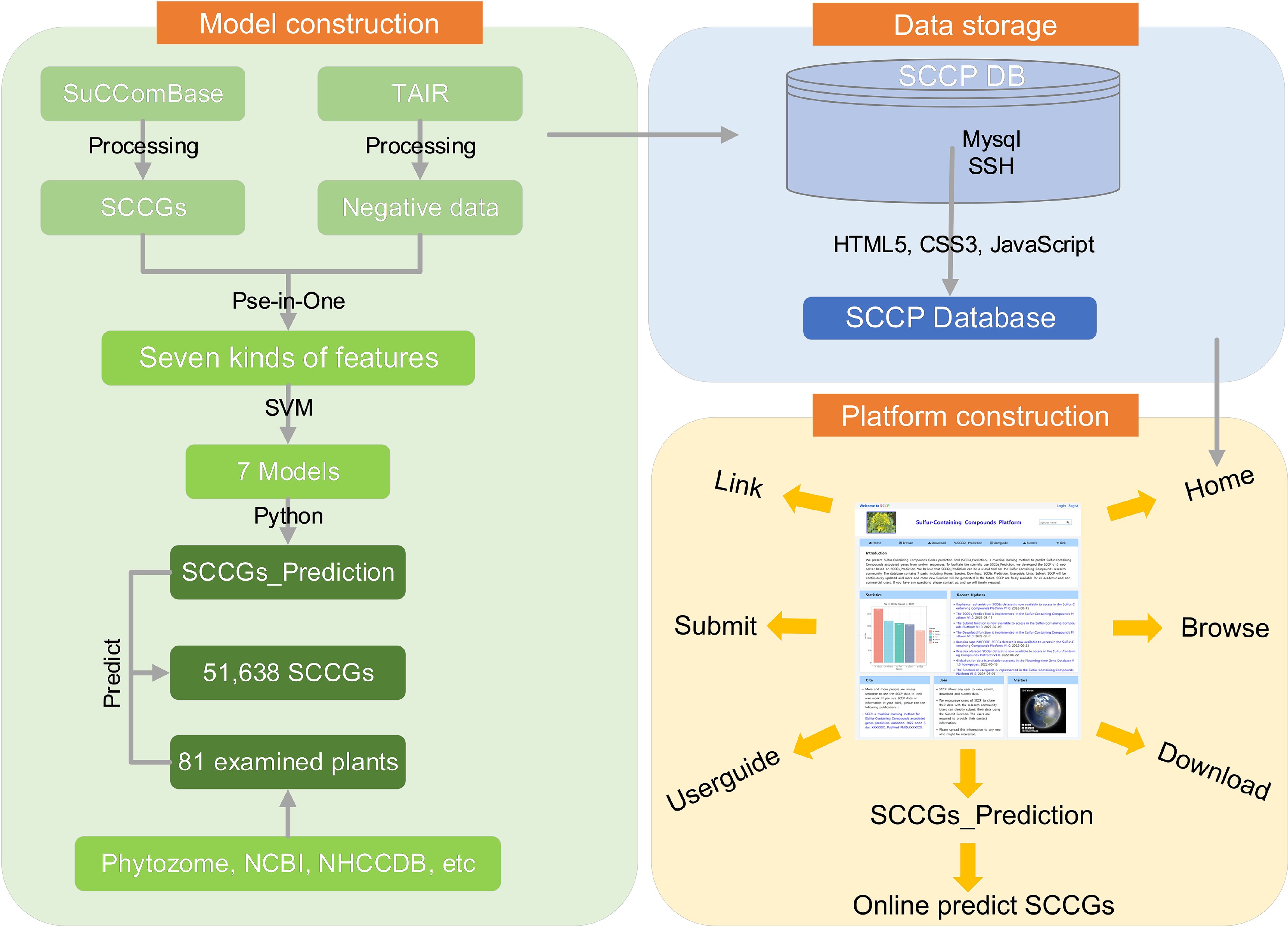 SCCGs_Prediction a machine learning tool for prediction of sulfur ...