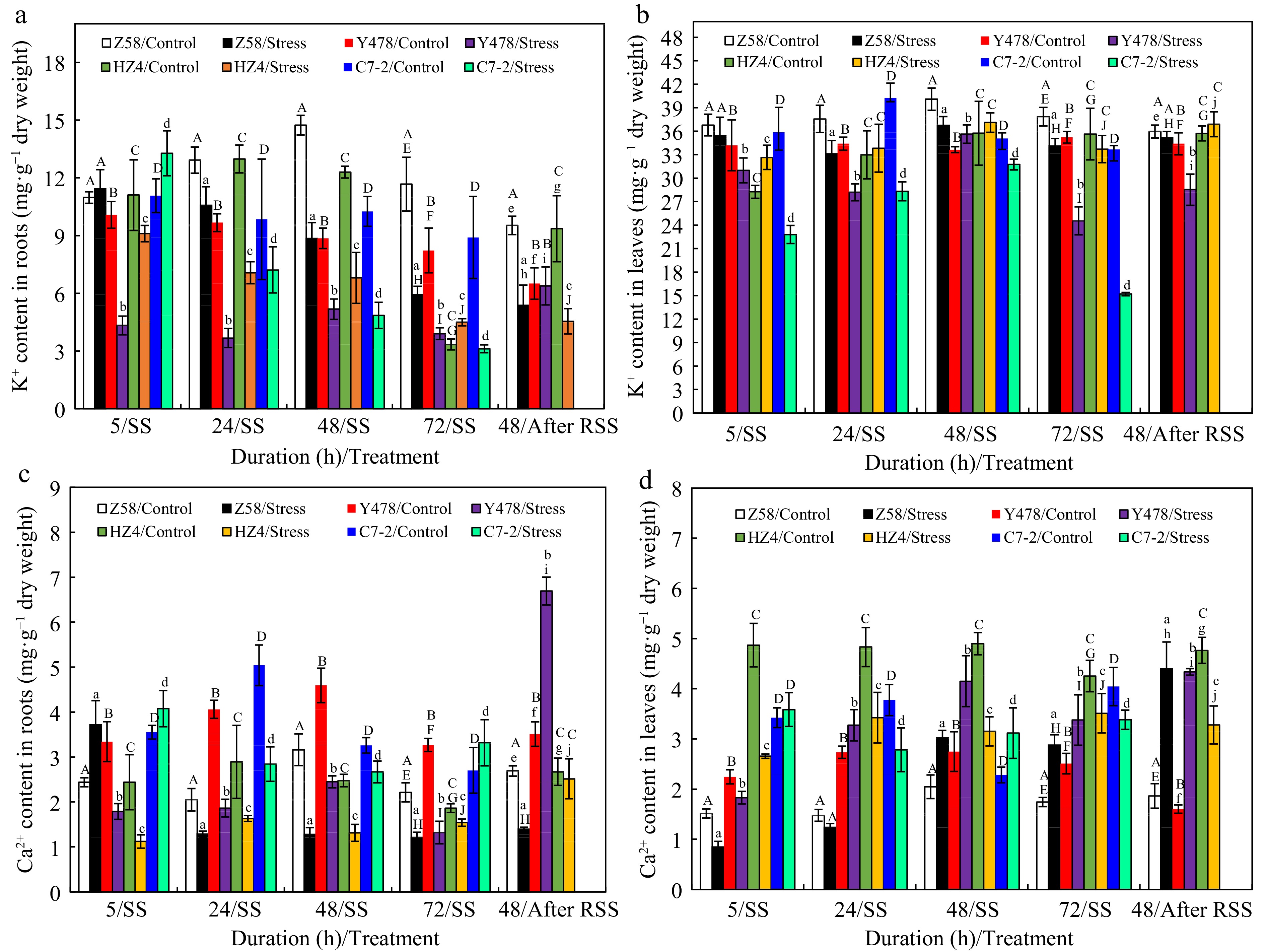 Insights into physio-biochemical responses of maize to salt shock ...