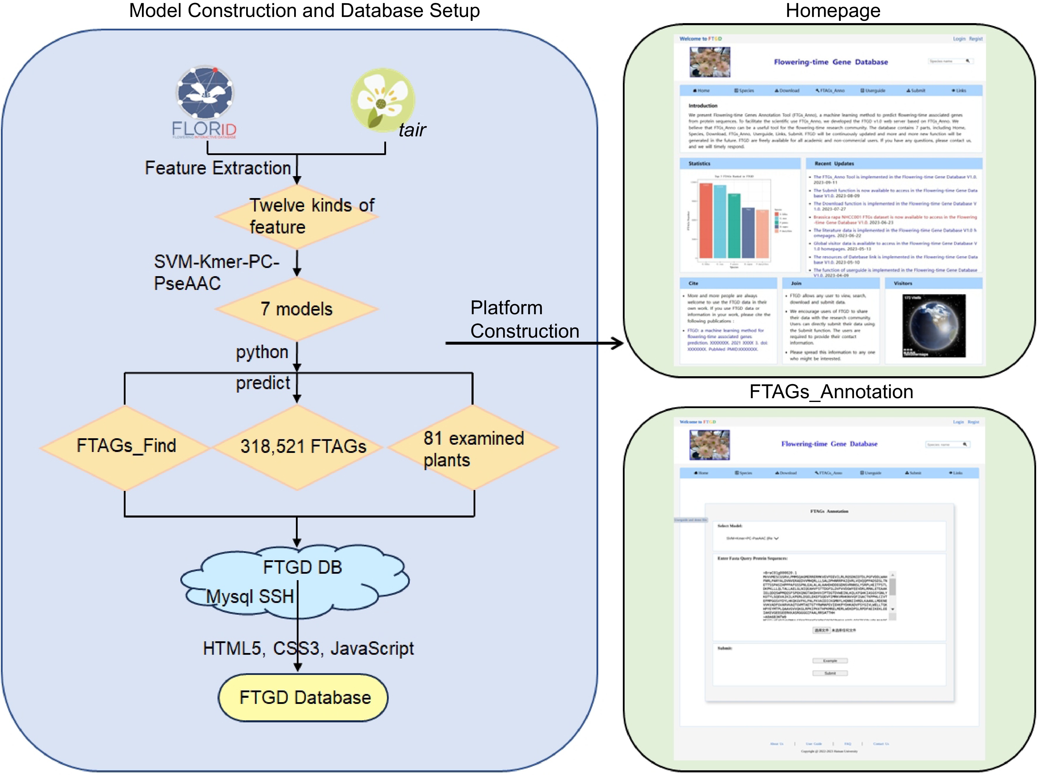 FTGD a machine learning method for flowering-time gene prediction