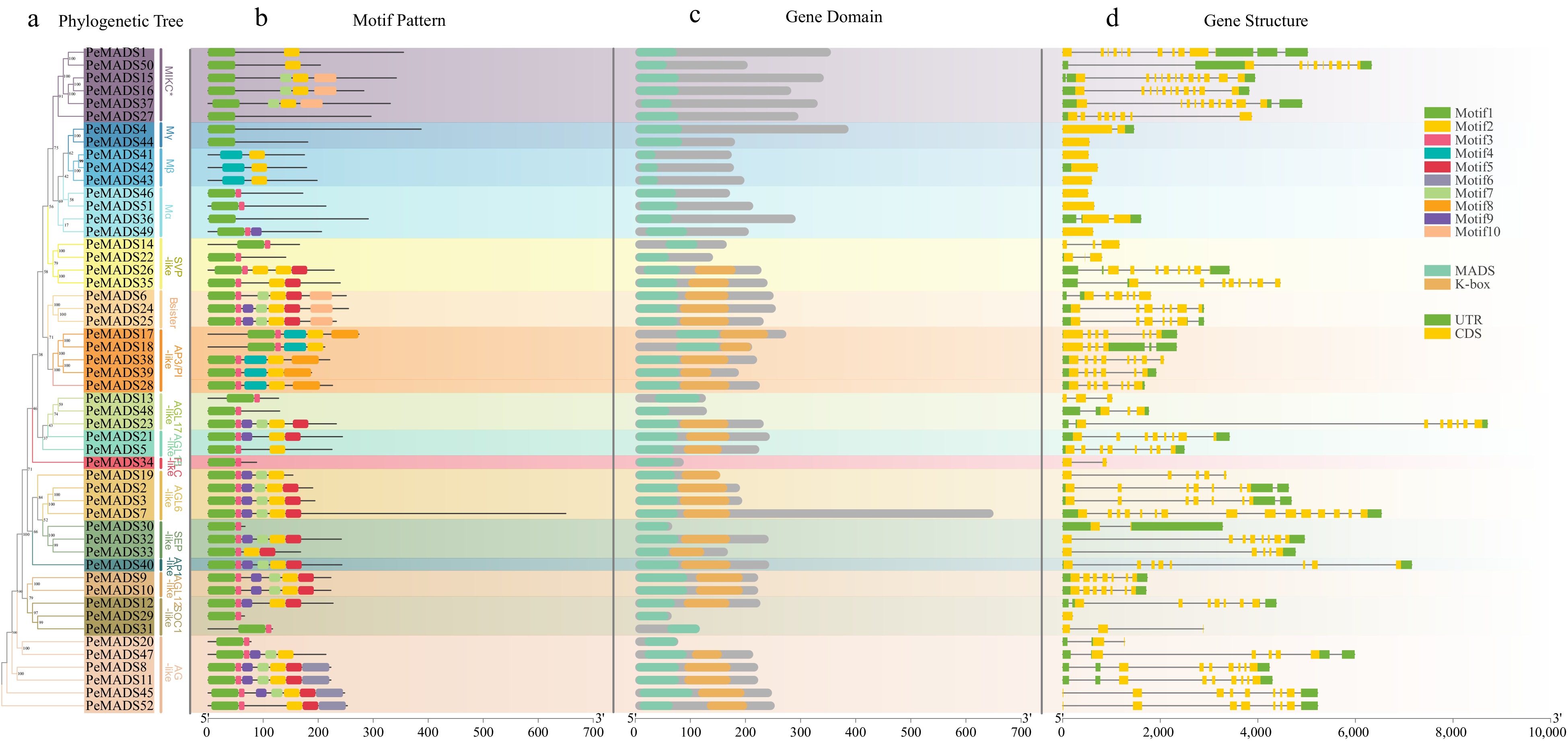 From gene expression to flower patterns genome-wide characterization of ...