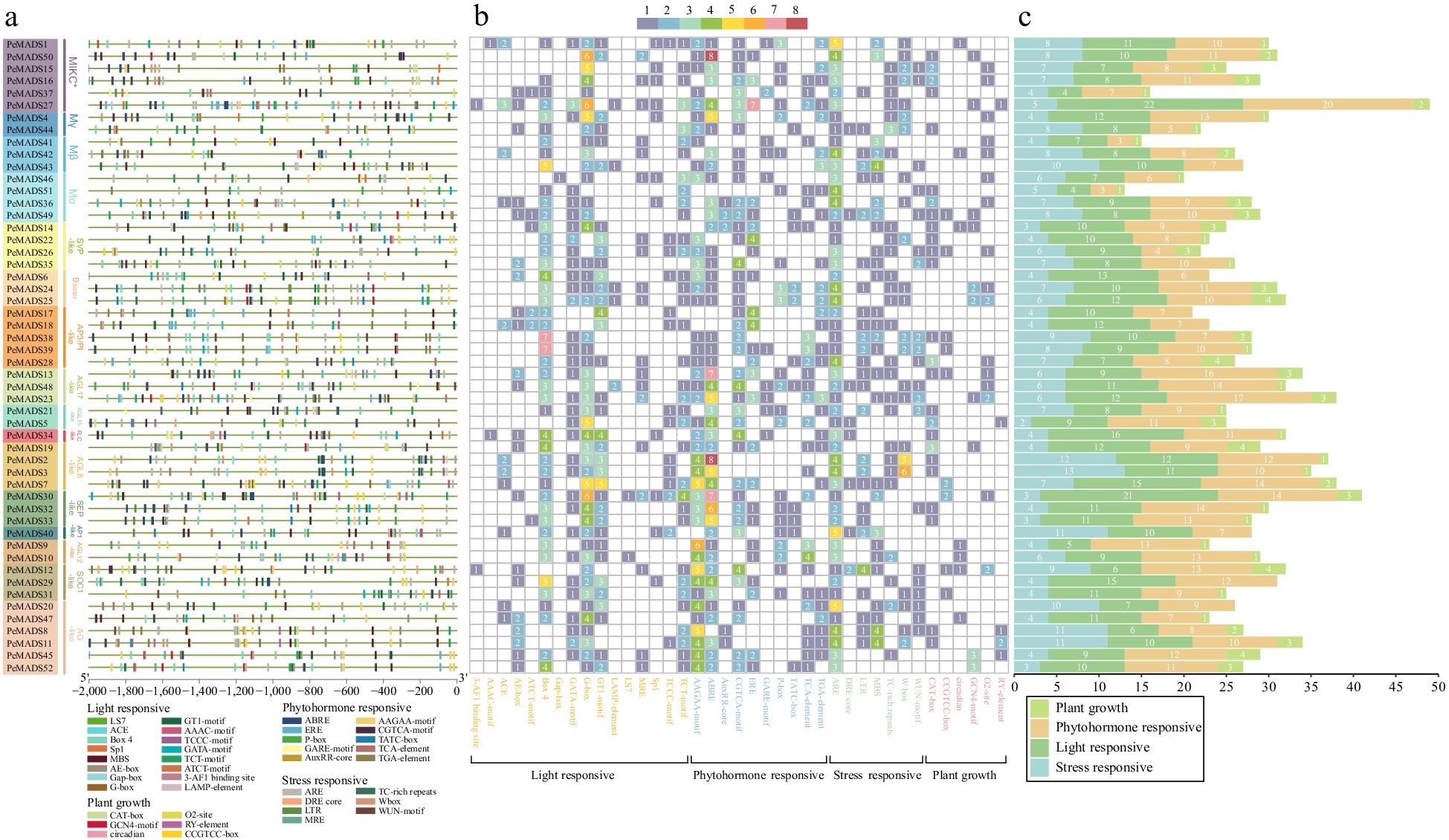 From gene expression to flower patterns genome-wide characterization of ...