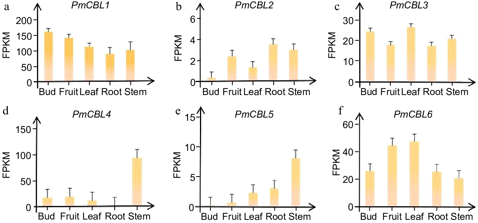 Identification of the Calcineurin B-like gene family and gene ...