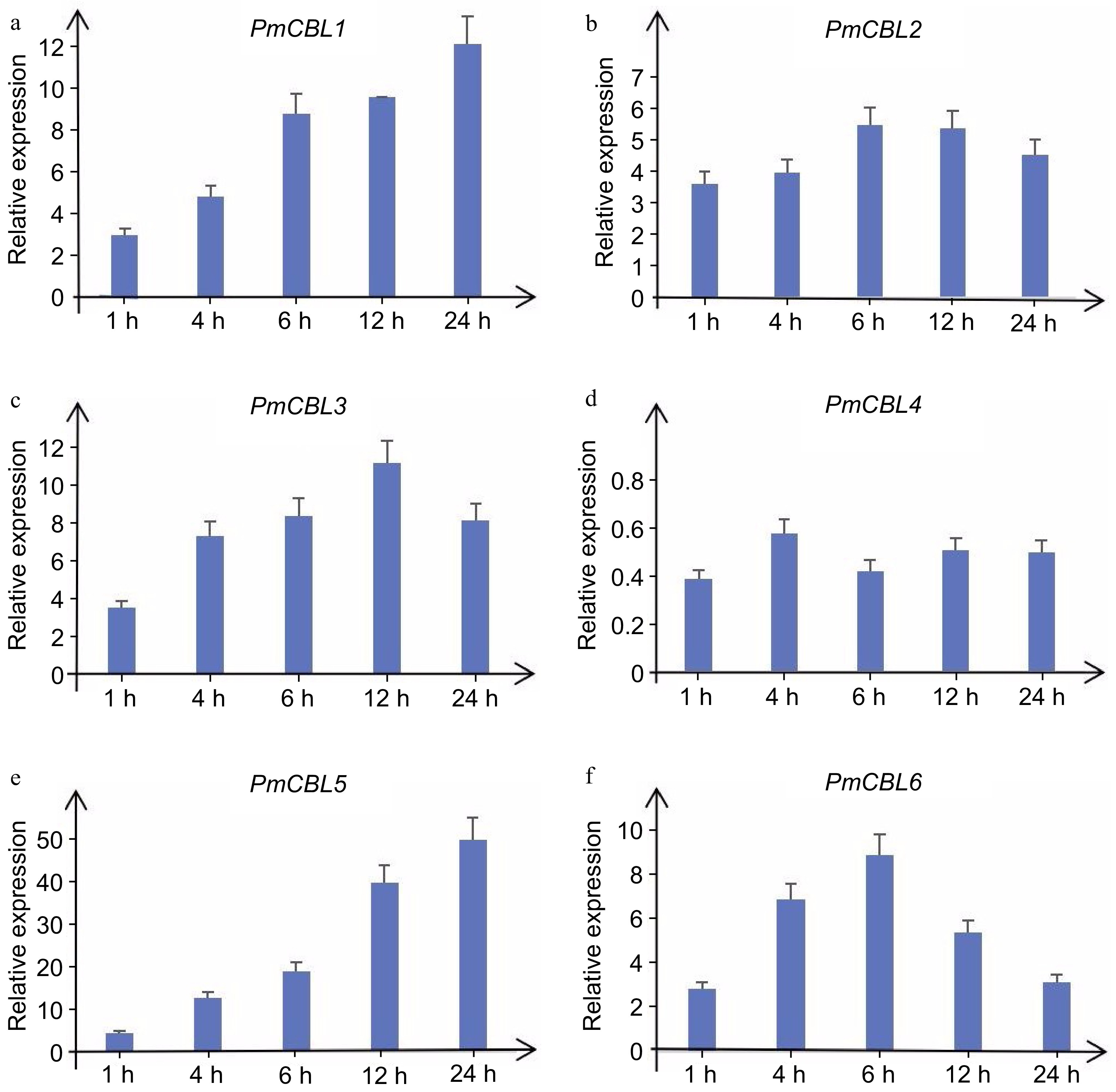 Identification of the Calcineurin B-like gene family and gene ...