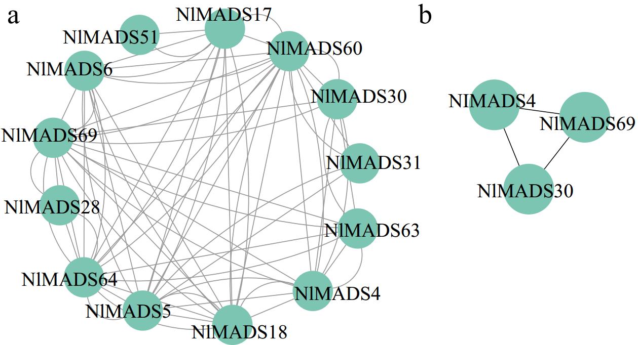 Genome-wide identification, characterization, evolution, and expression ...
