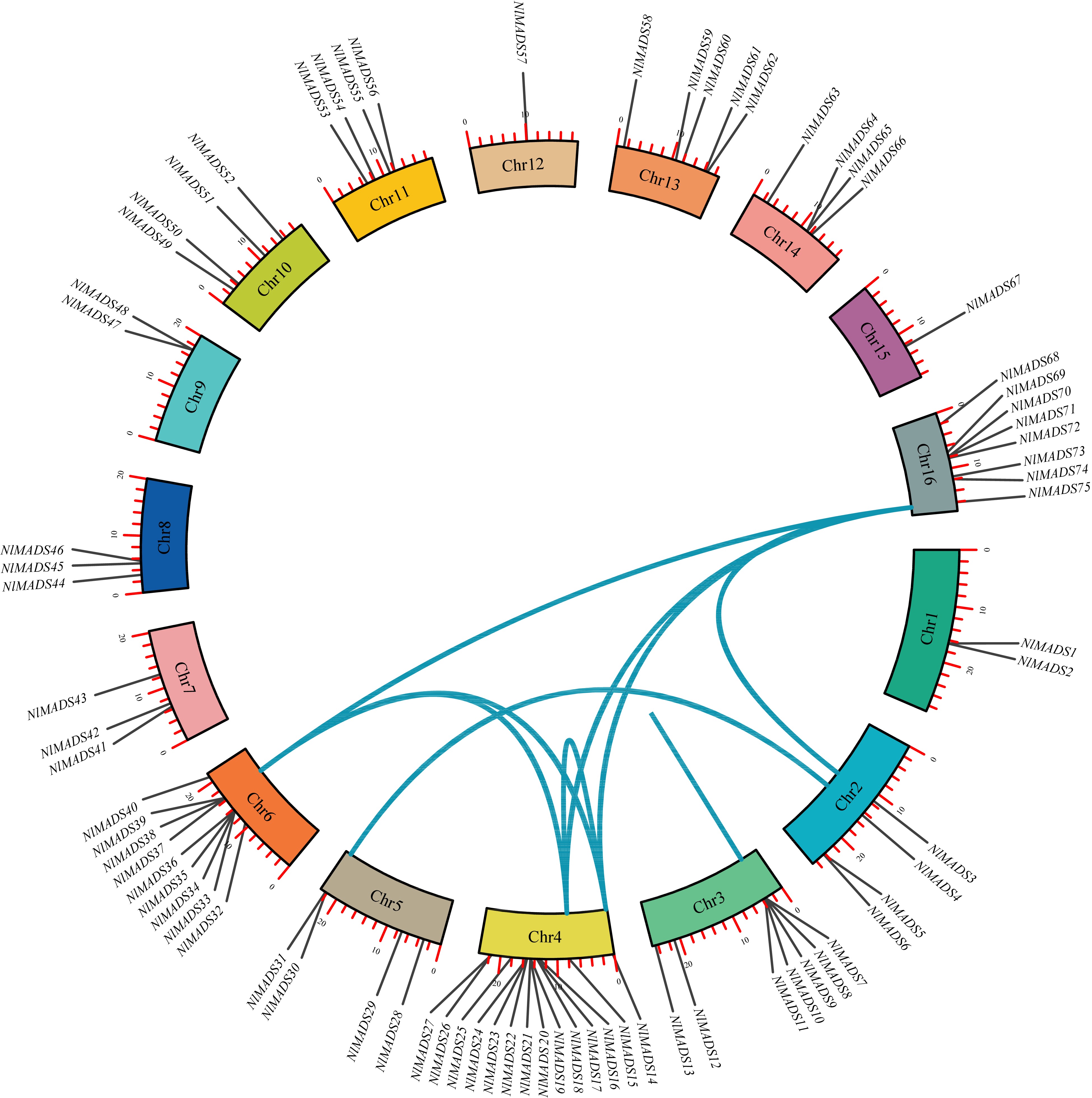 Genome-wide identification, characterization, evolution, and expression ...