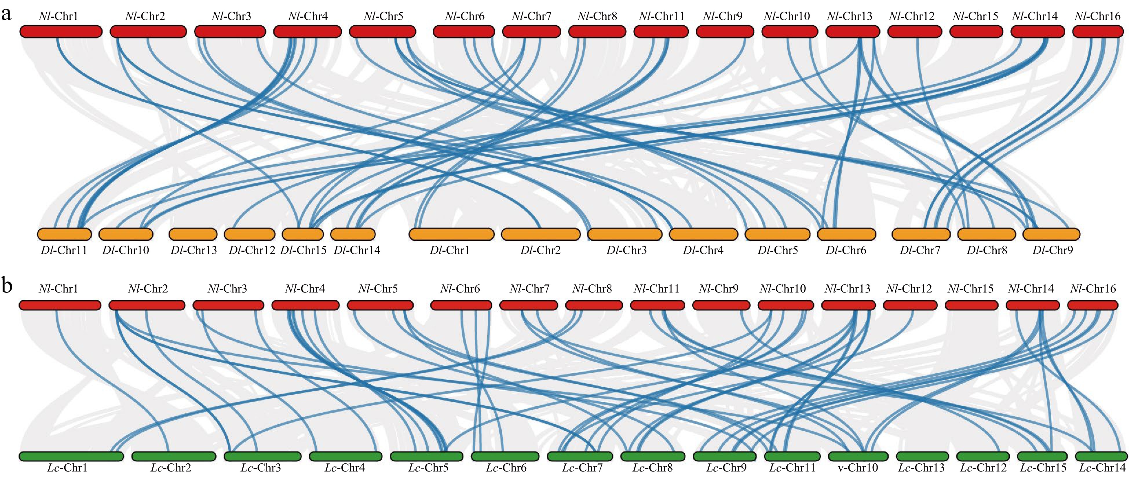 Genome-wide identification, characterization, evolution, and expression ...