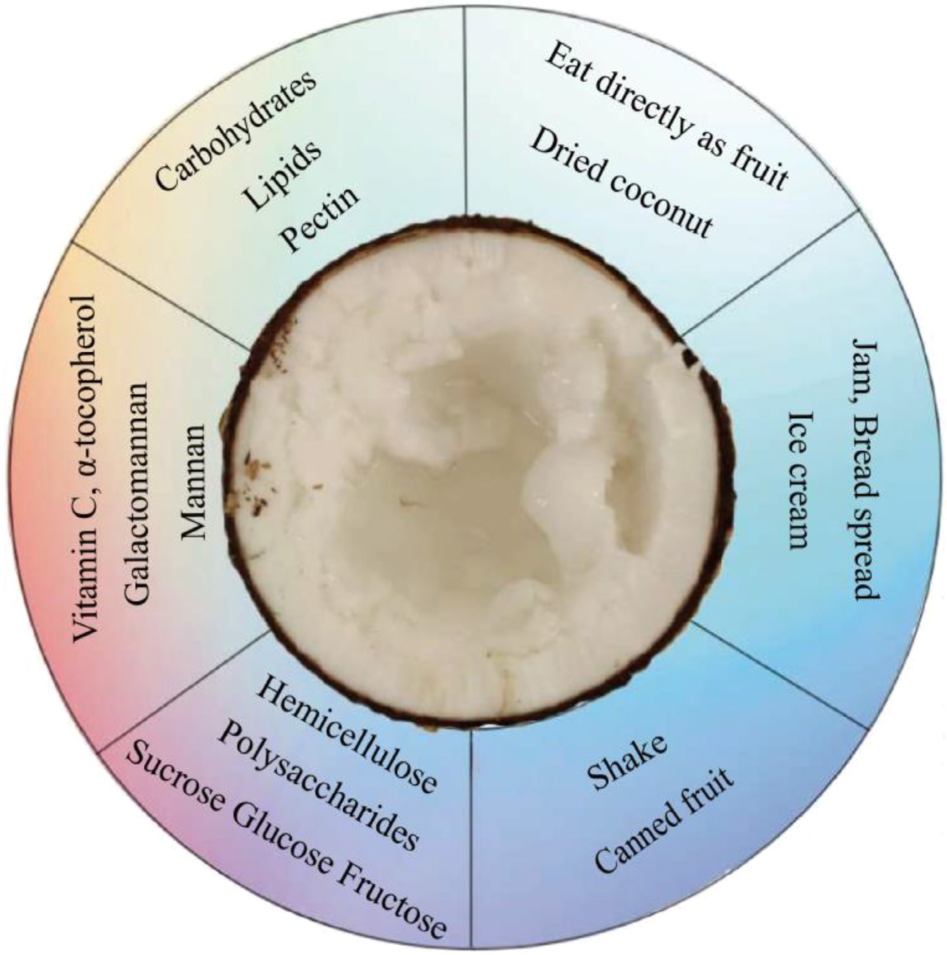 Prospects and challenges of elite coconut varieties in China a case ...