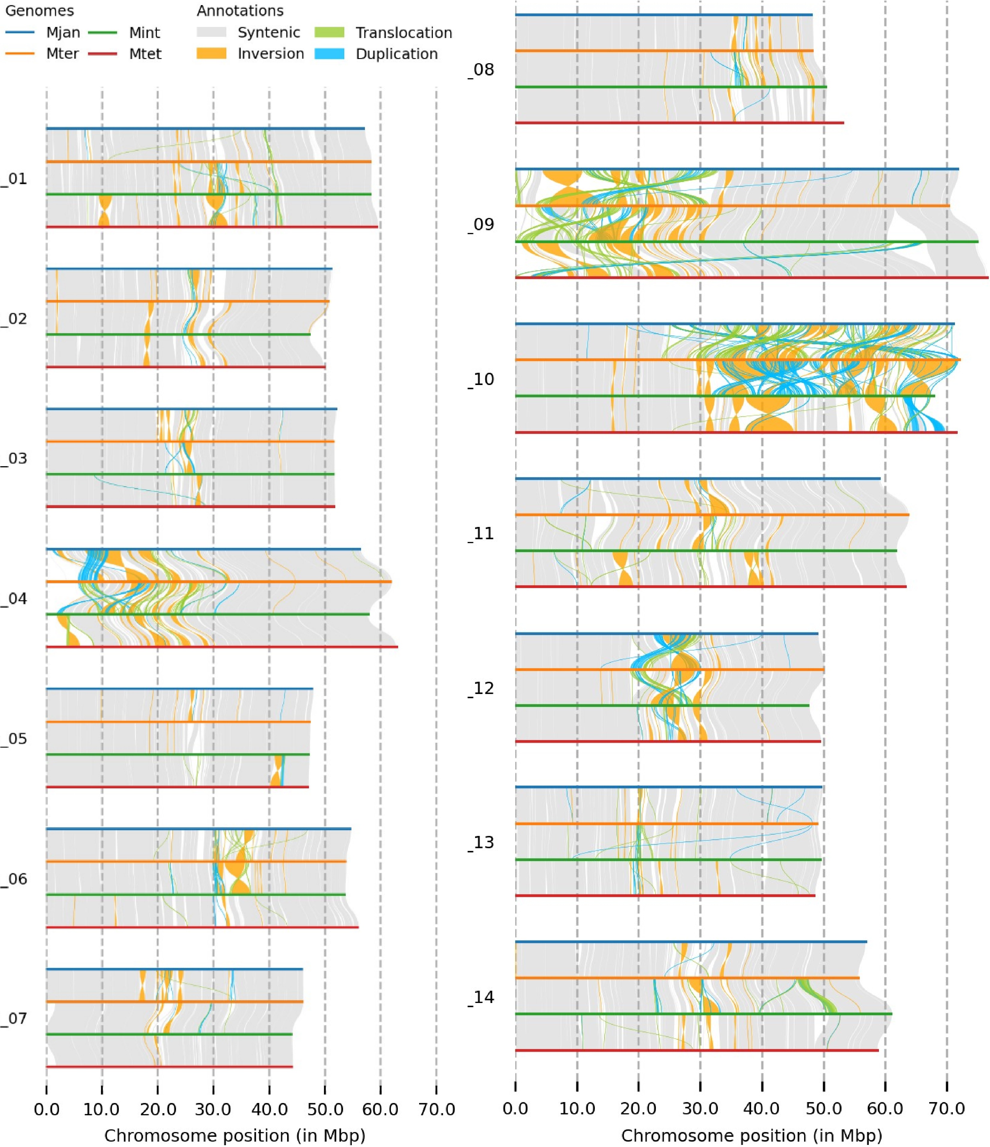 Genome sequences to support conservation and breeding of Macadamia