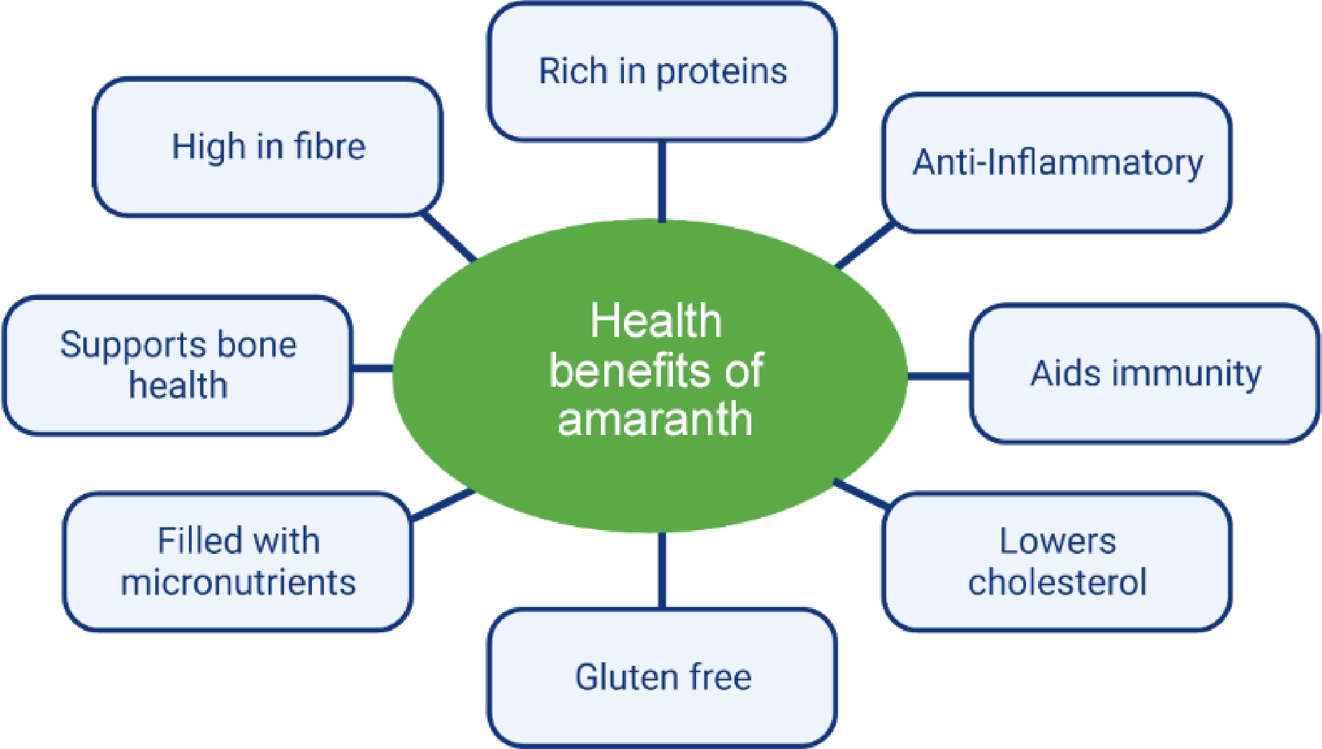 From humble beginnings to nutritional powerhouse the rise of amaranth ...