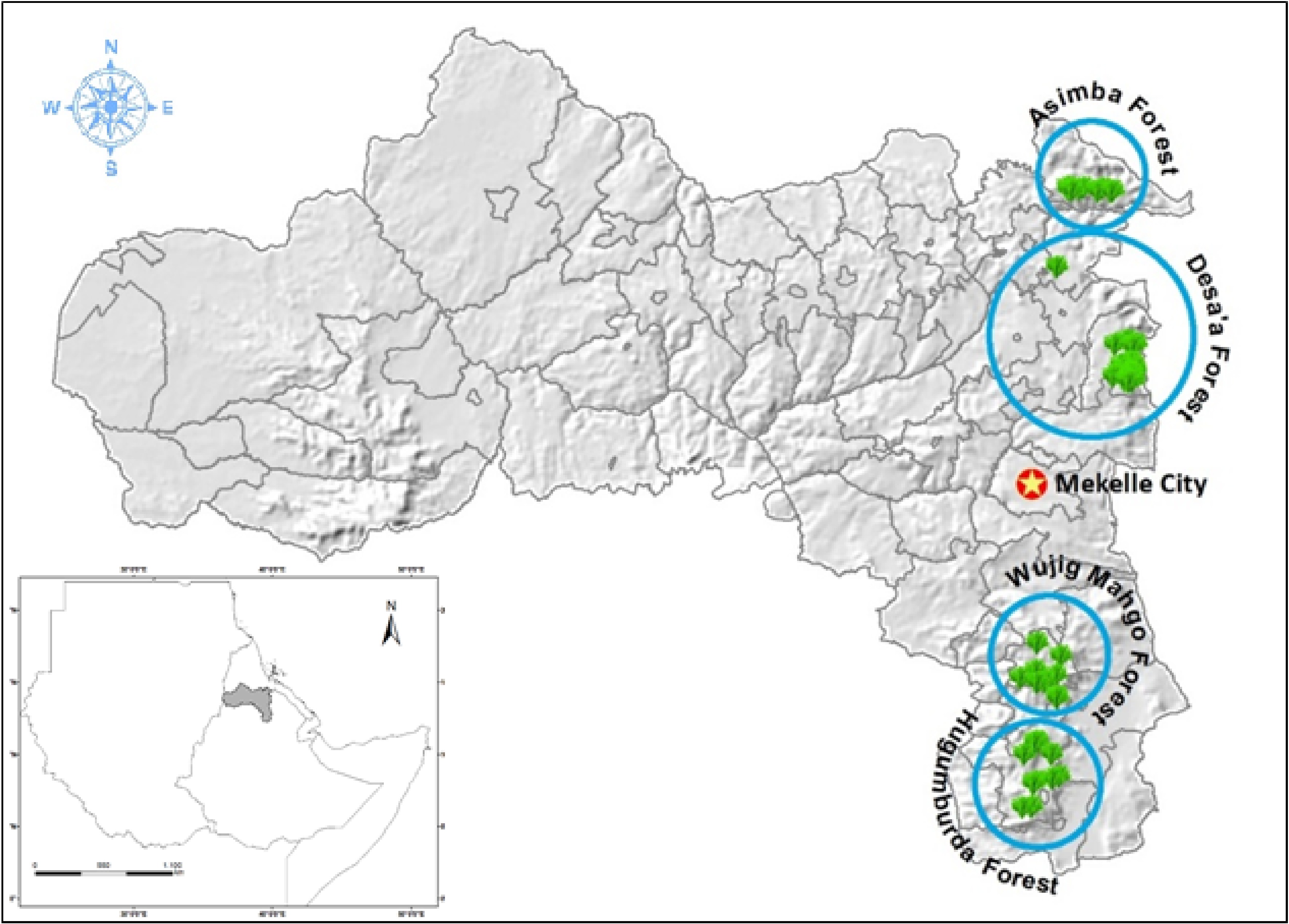 The potential distribution of tree heath ( Erica arborea L.) in Tigrai